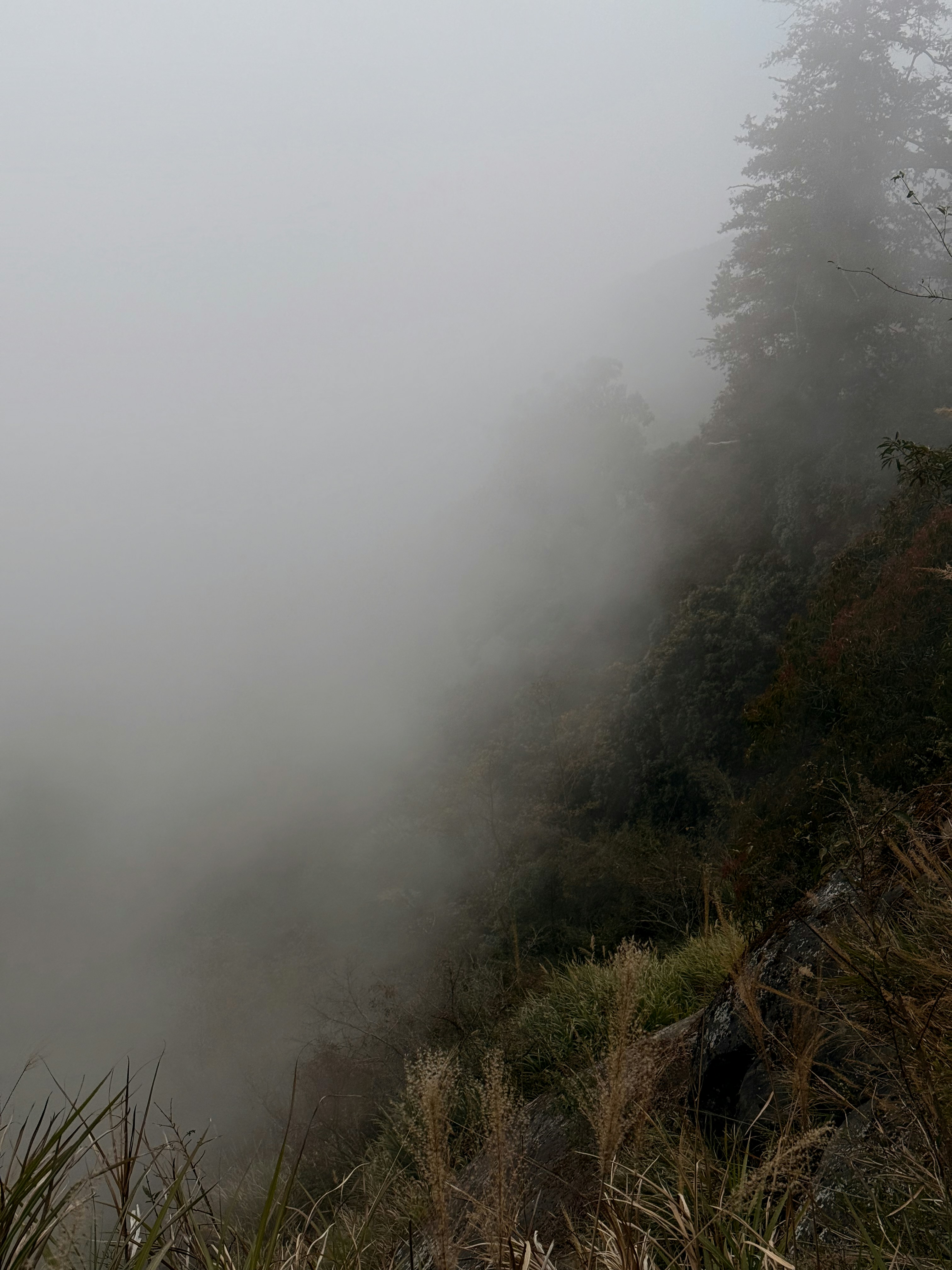 Fog Cliffs: Quiet Ridge Behind the Veil