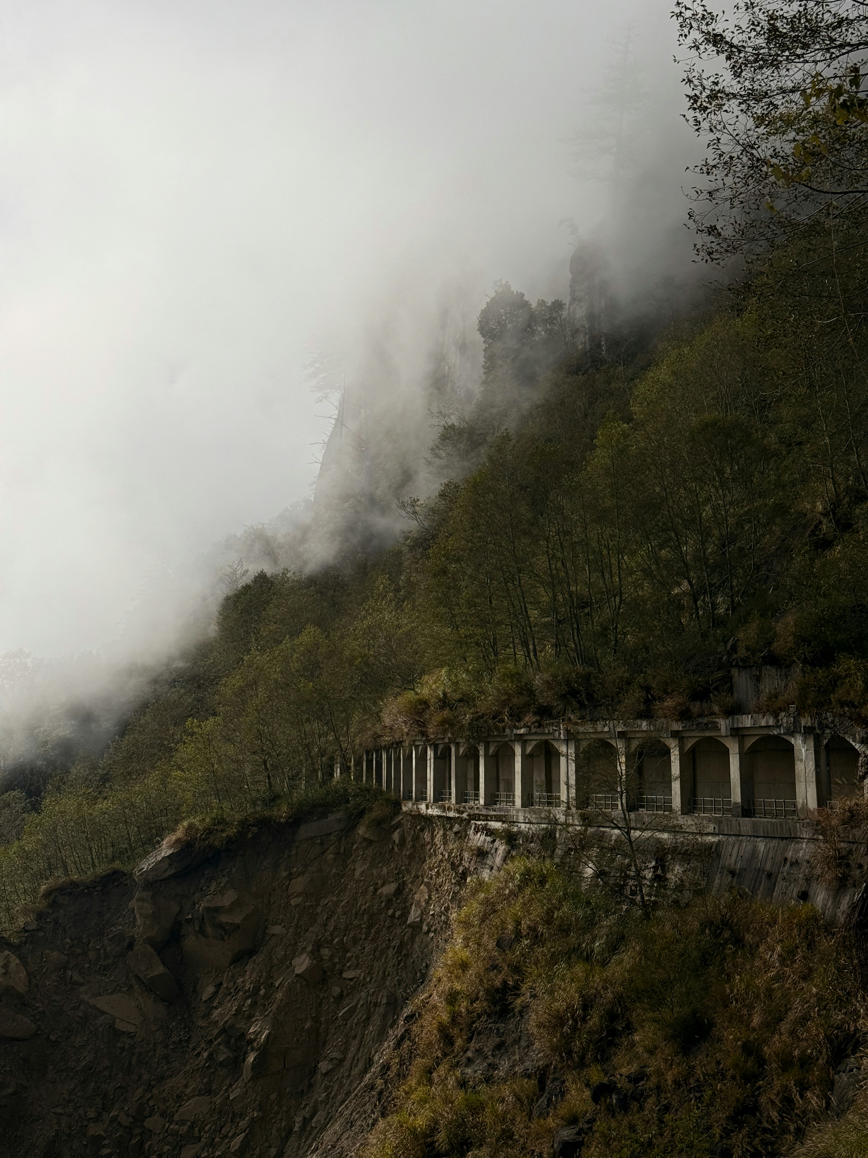 Mist-Blanked Cliffside Viaduct