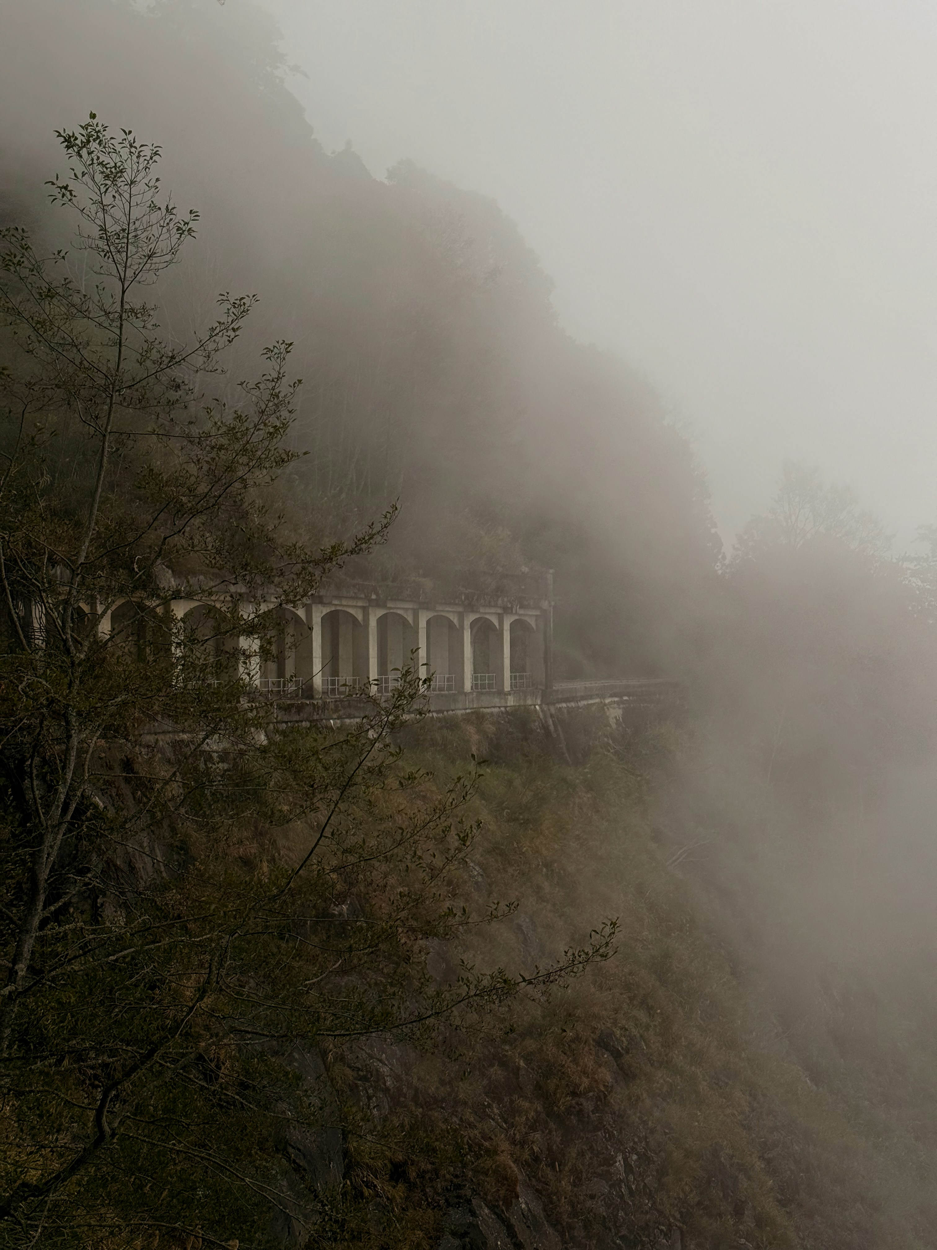 Mist on the Gorge: A Silent Bridge Amid Veiled Cliffs