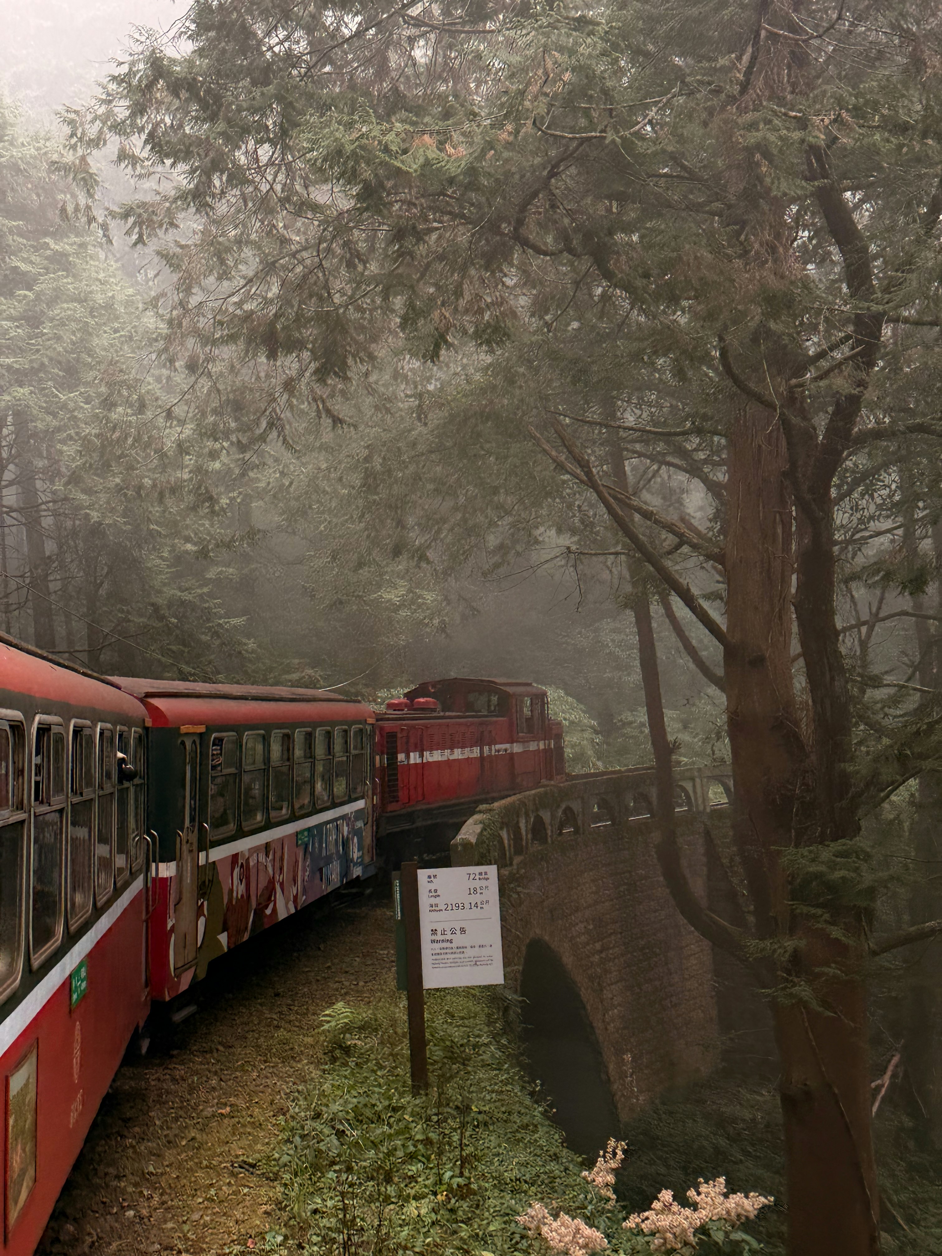 Steam and Mist: Red Carriages through an Autumn Veil