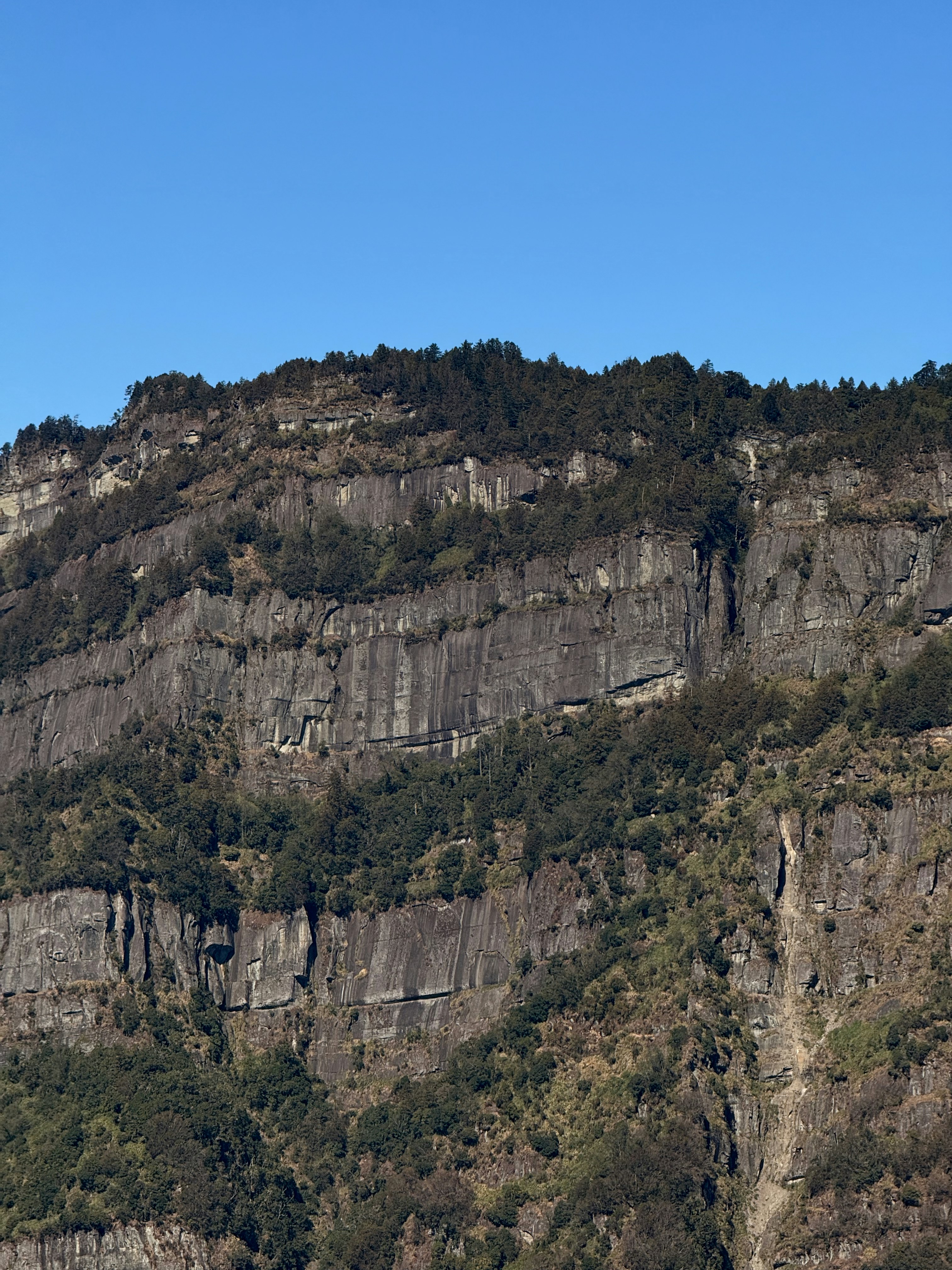Lofty Strata: A Profile of Cliff and Cedar