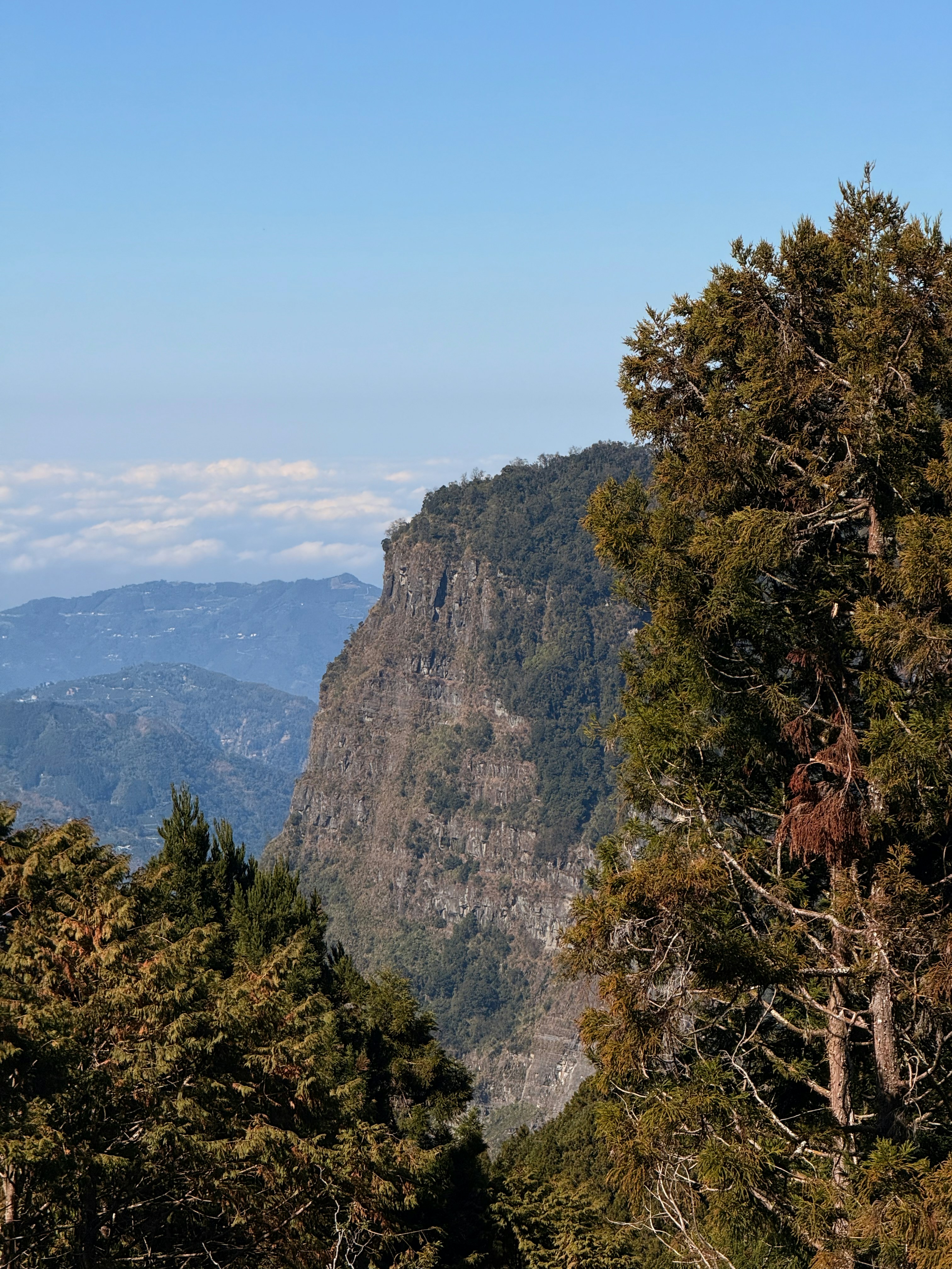 Cliffside Sentinel: Forested Ridge Against a Mountain Verge