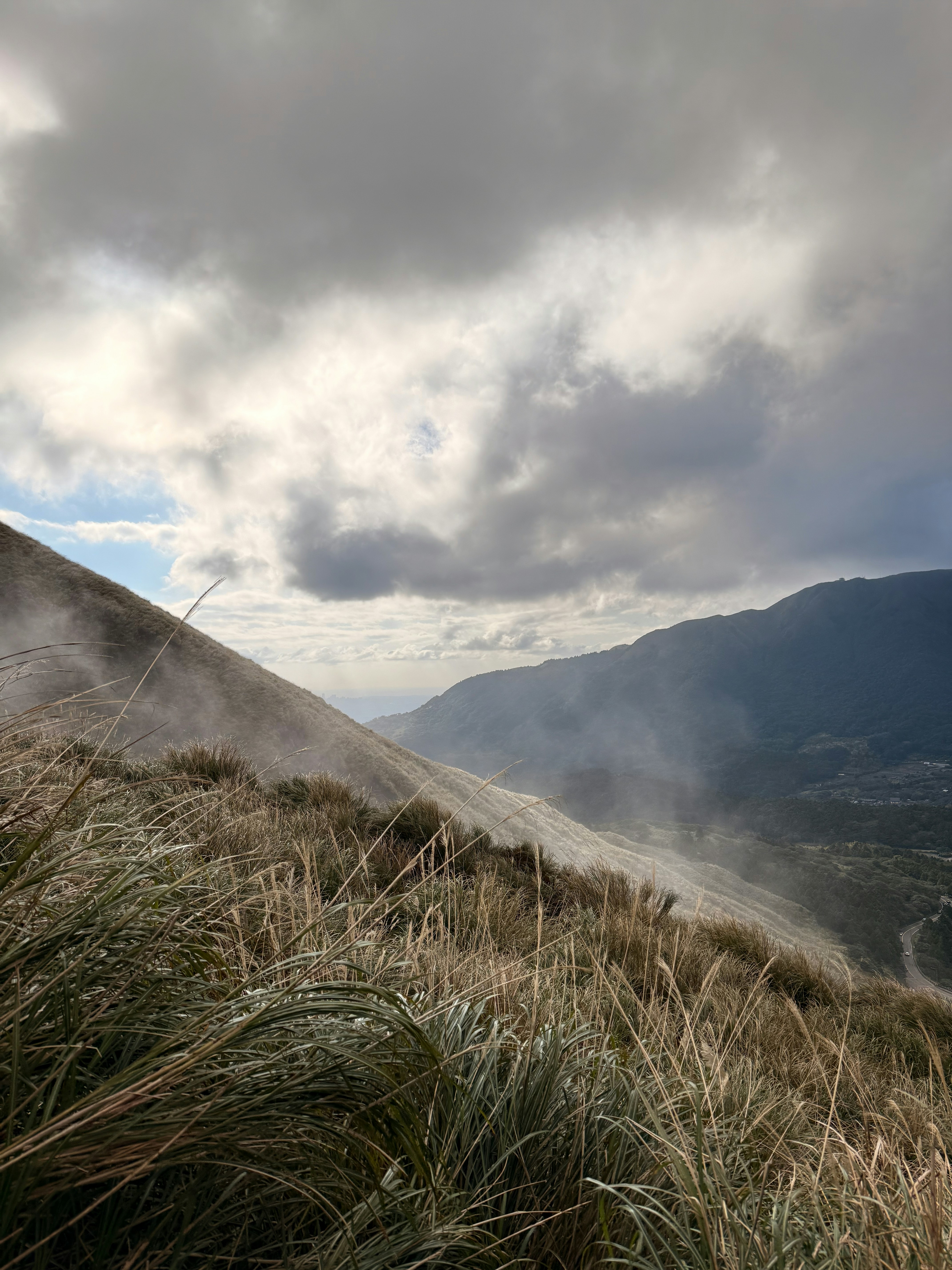 Mist on the Crest: Golden Grasses Framed by Distant Valleys