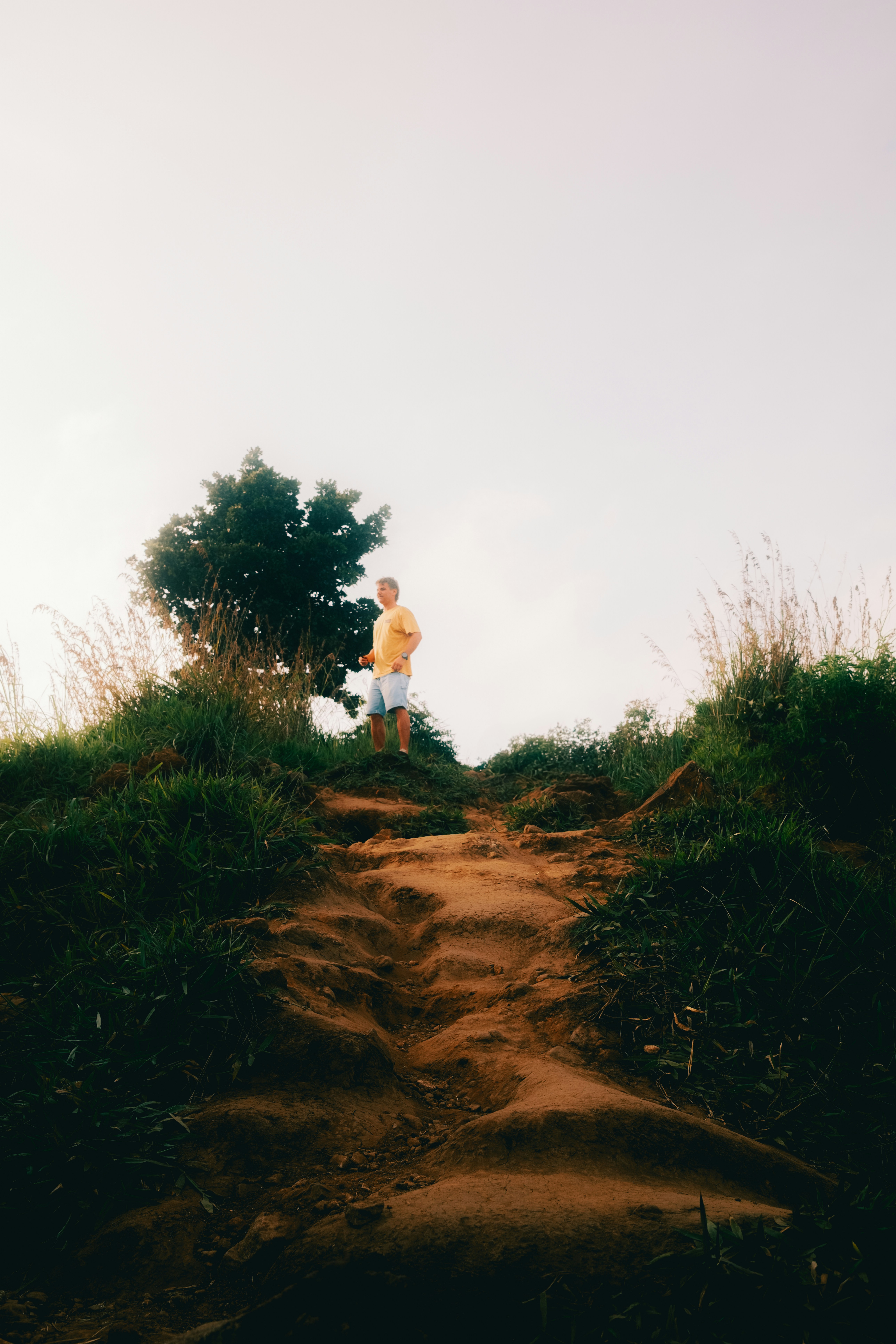 Ascendancy on the Ridge: A Lone Figure Above the Path