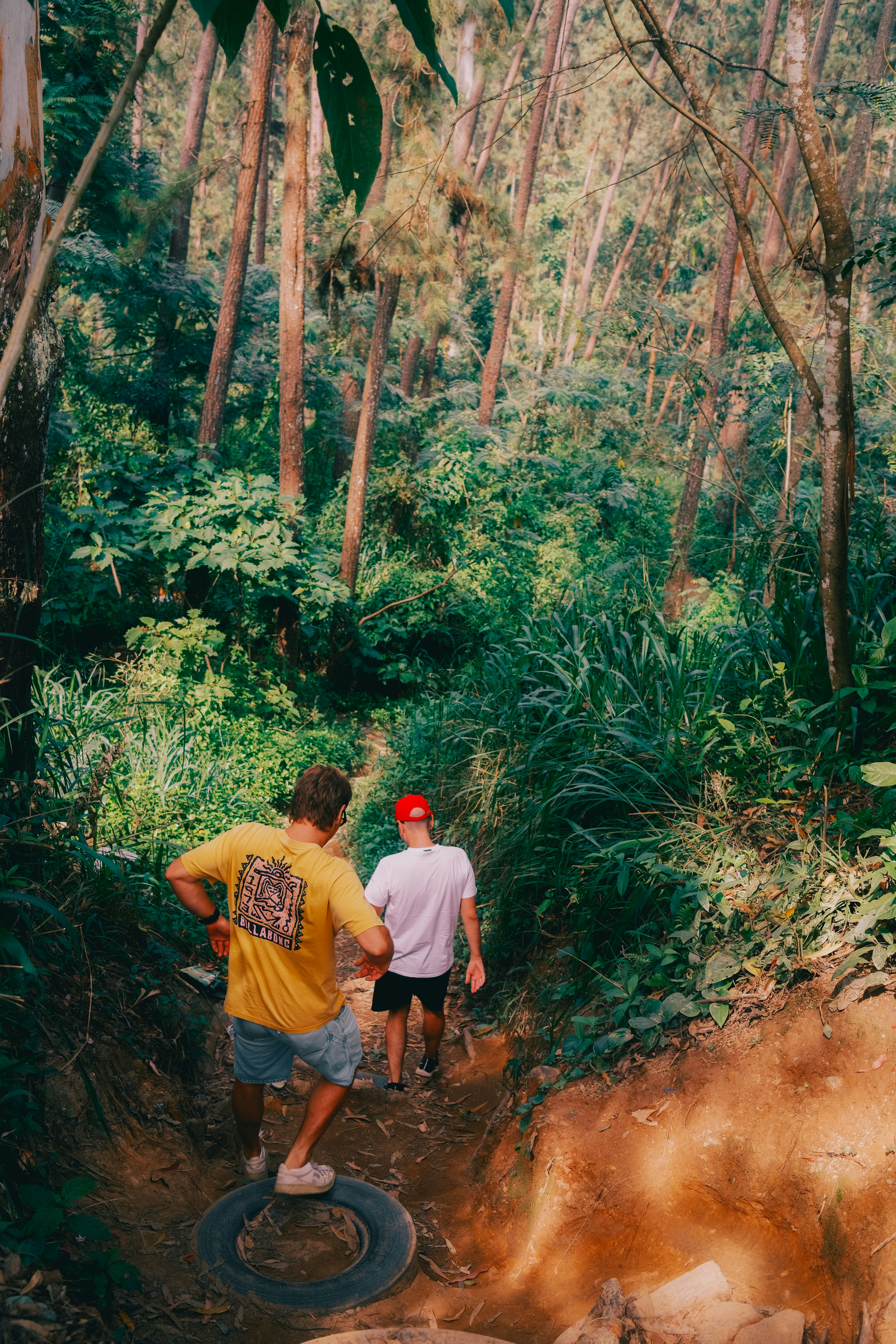 Forest Descent: Two Explorers in a Mossy Hollow