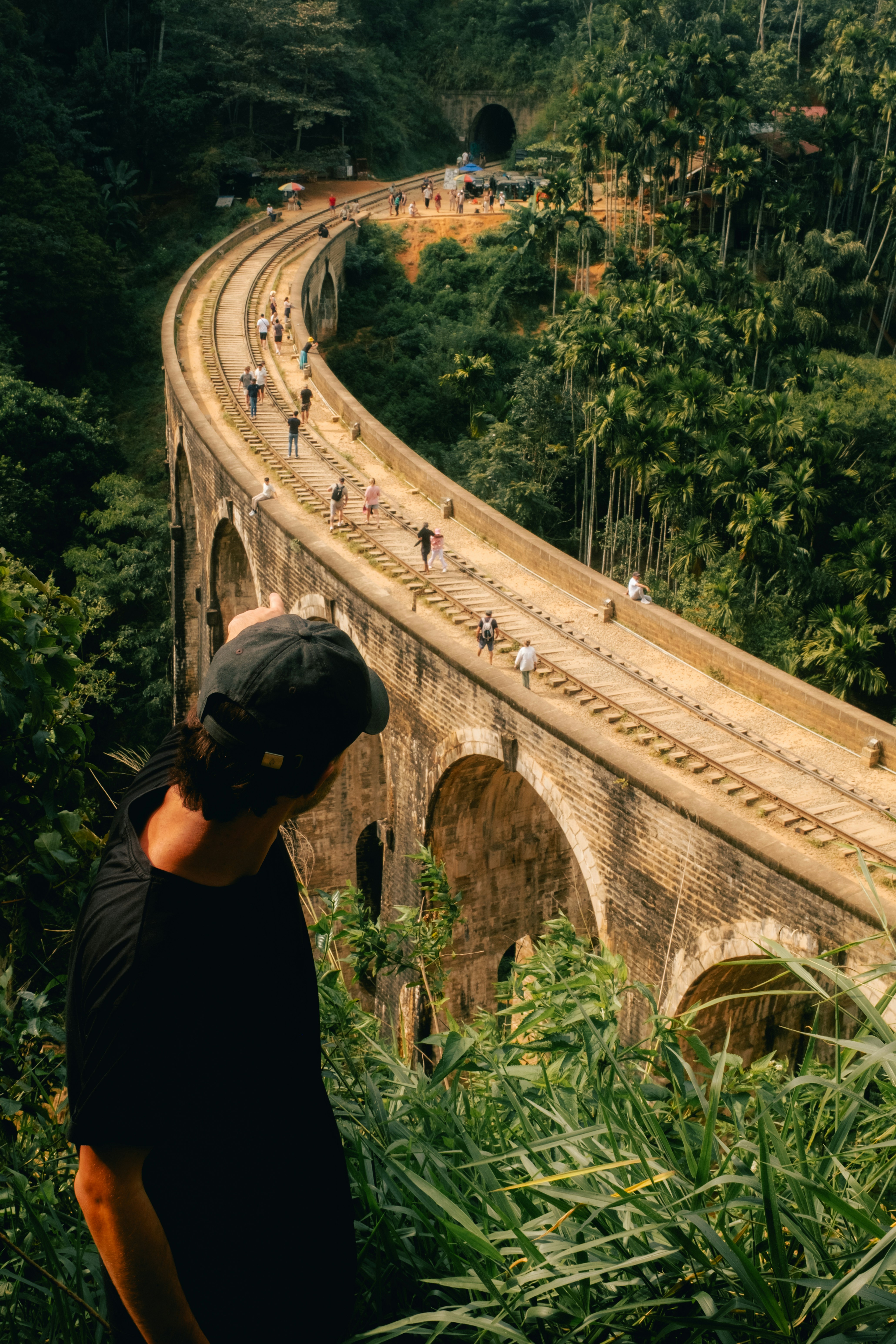 Bridge Between Vines: A Curved Promenade Above a Jungle Gorge