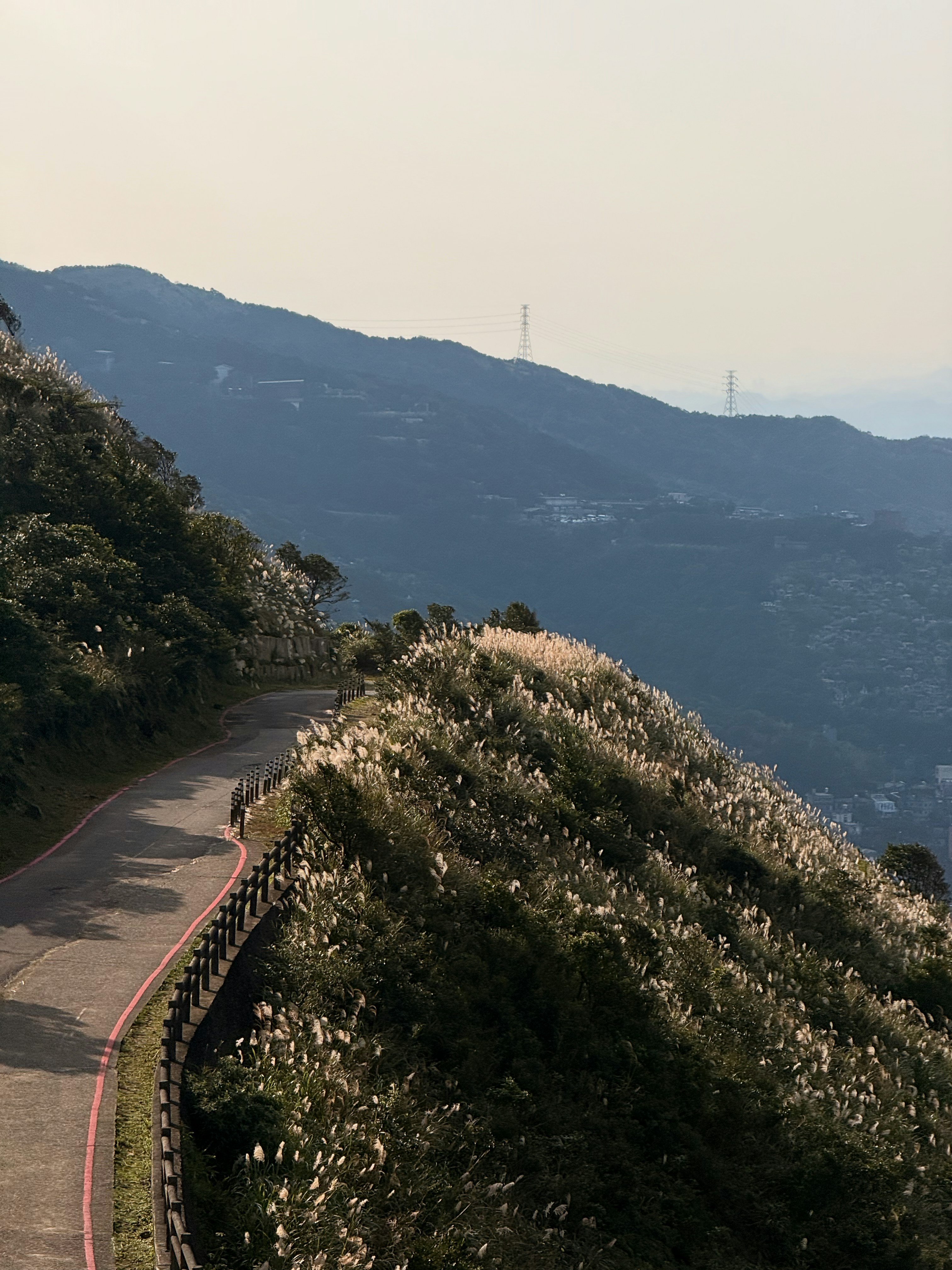 Sunlit Slope Path Curving Toward Distant Hills
