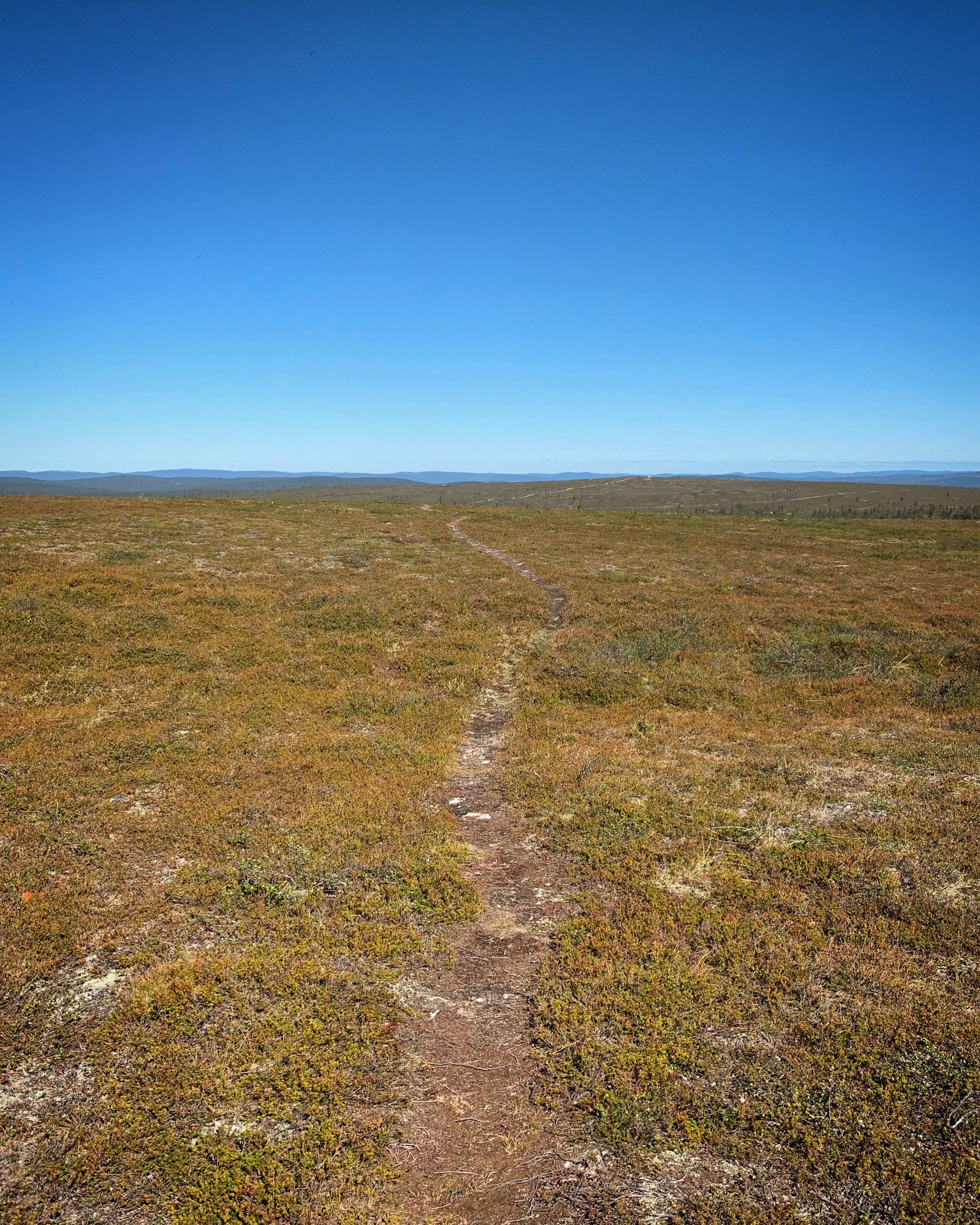 A Lone Mud Path Traverses Open Heath Under Wide Blue Skies