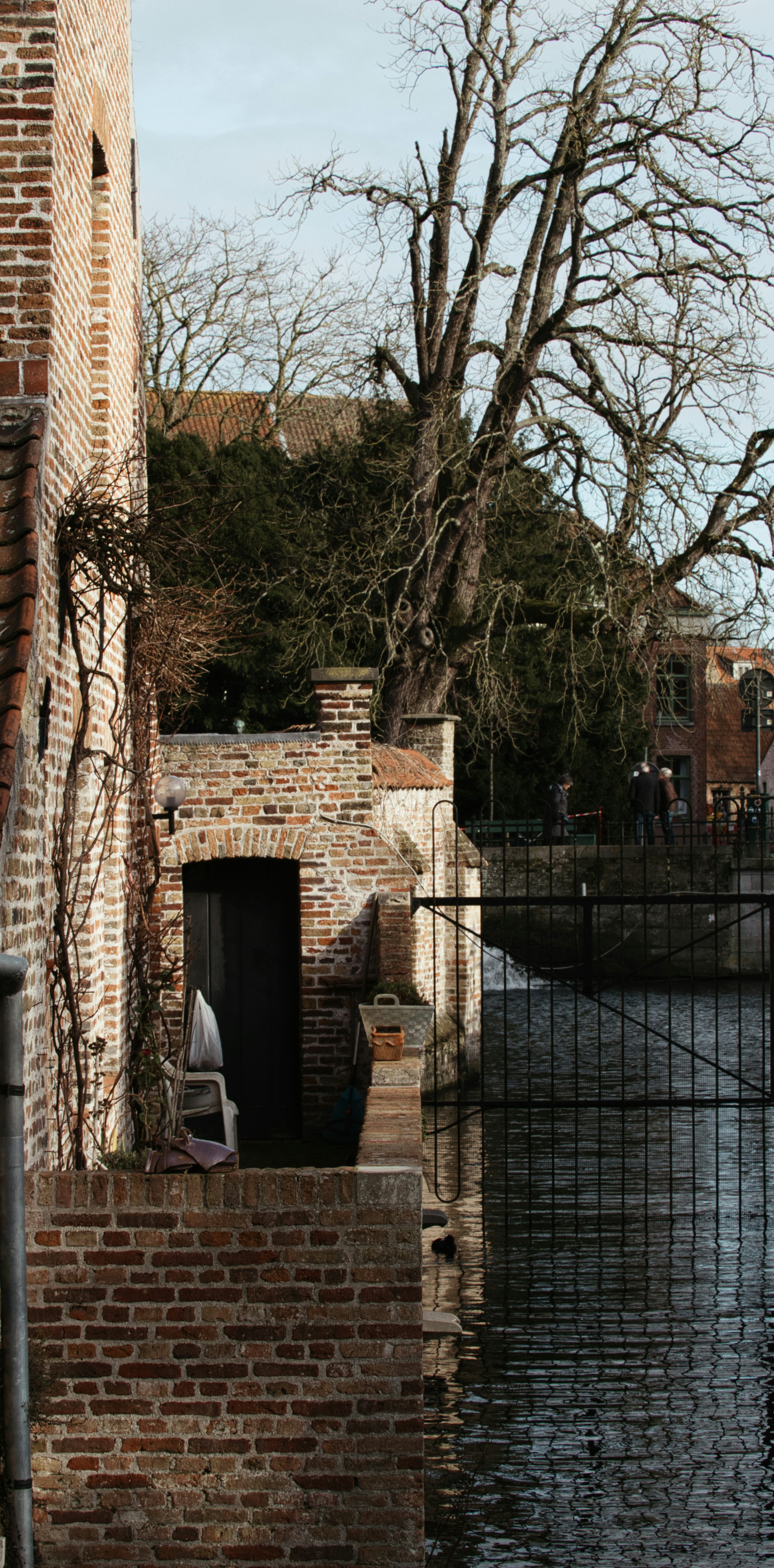 Brick canalscape with a leaning tree and iron gate
