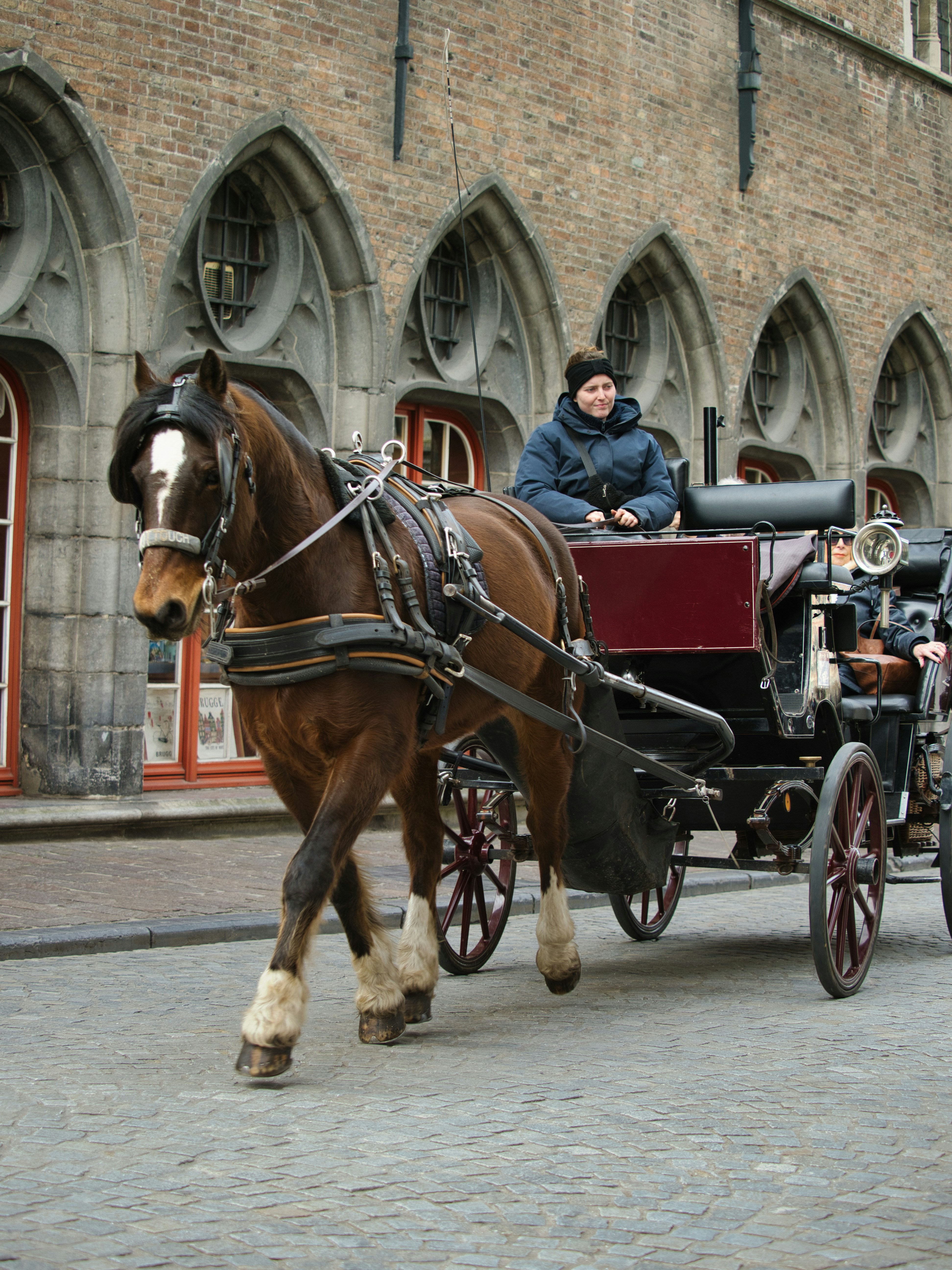 Hoofbeats and History: A Horse-Drawn Carriage Treading Through a Historic Town