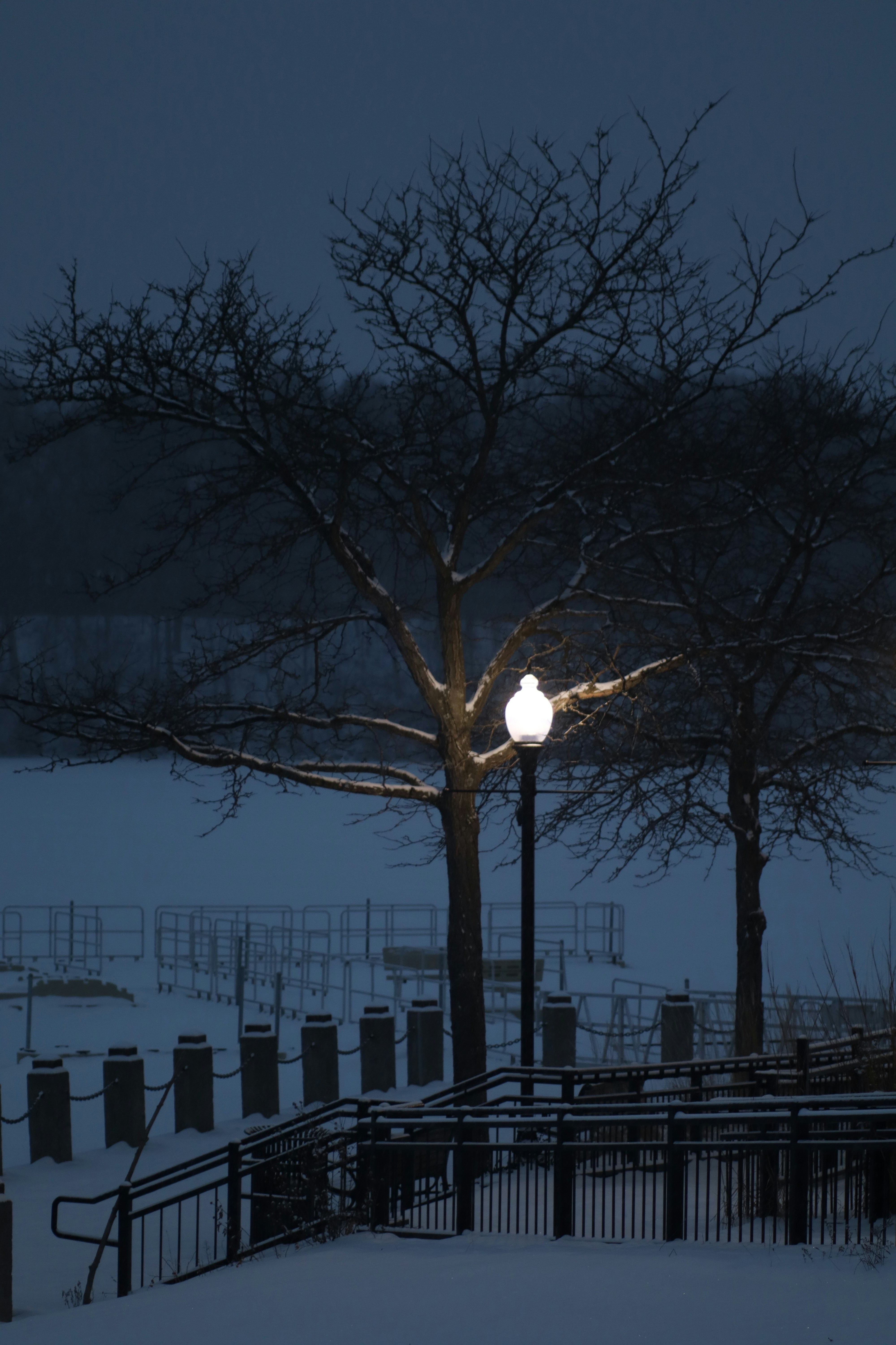 Night Lantern Over the Snow: A Quiet Lakeside Walk