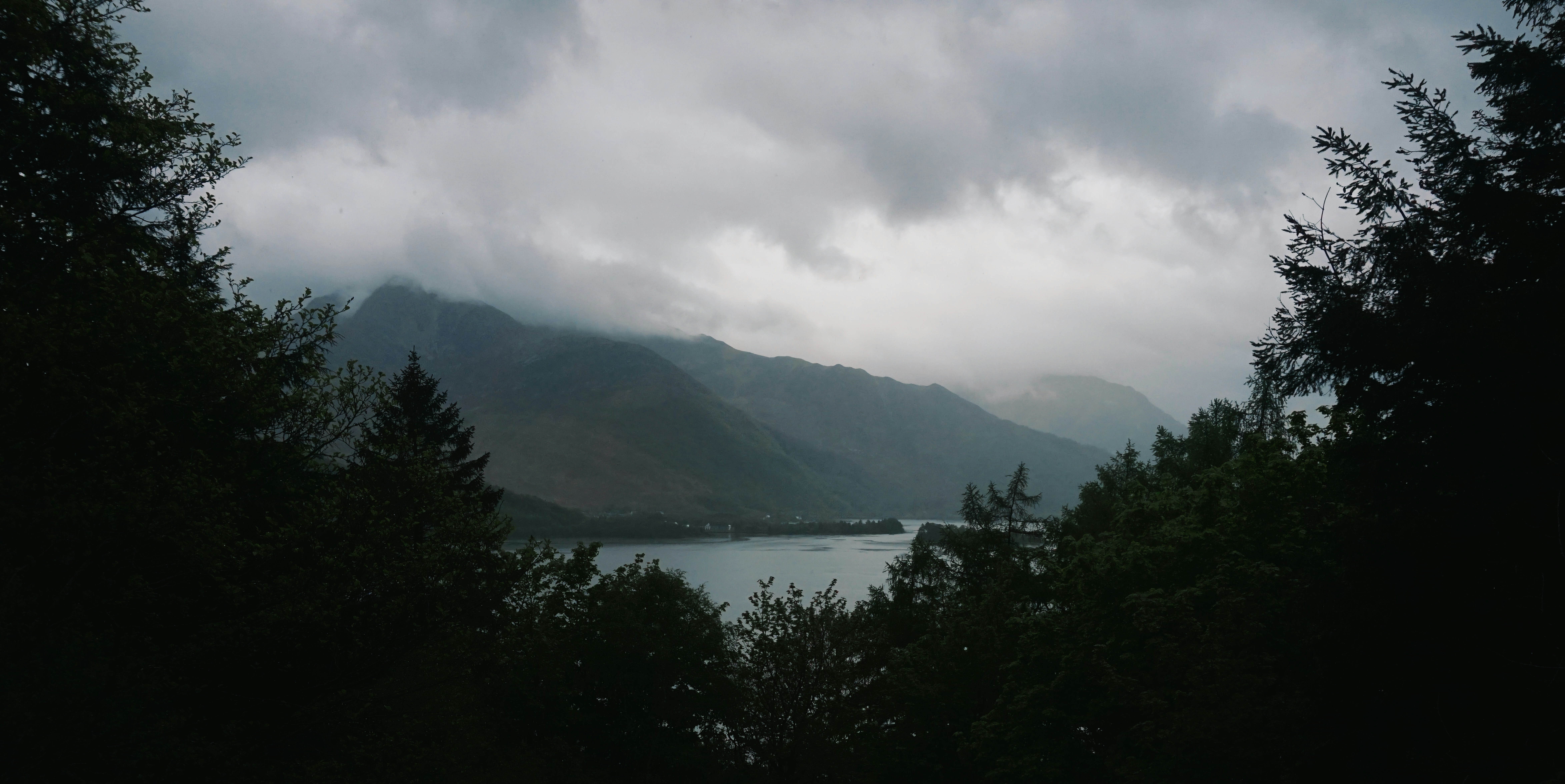Mist Over Fjord: A Quiet Boundary Between Forest and Water
