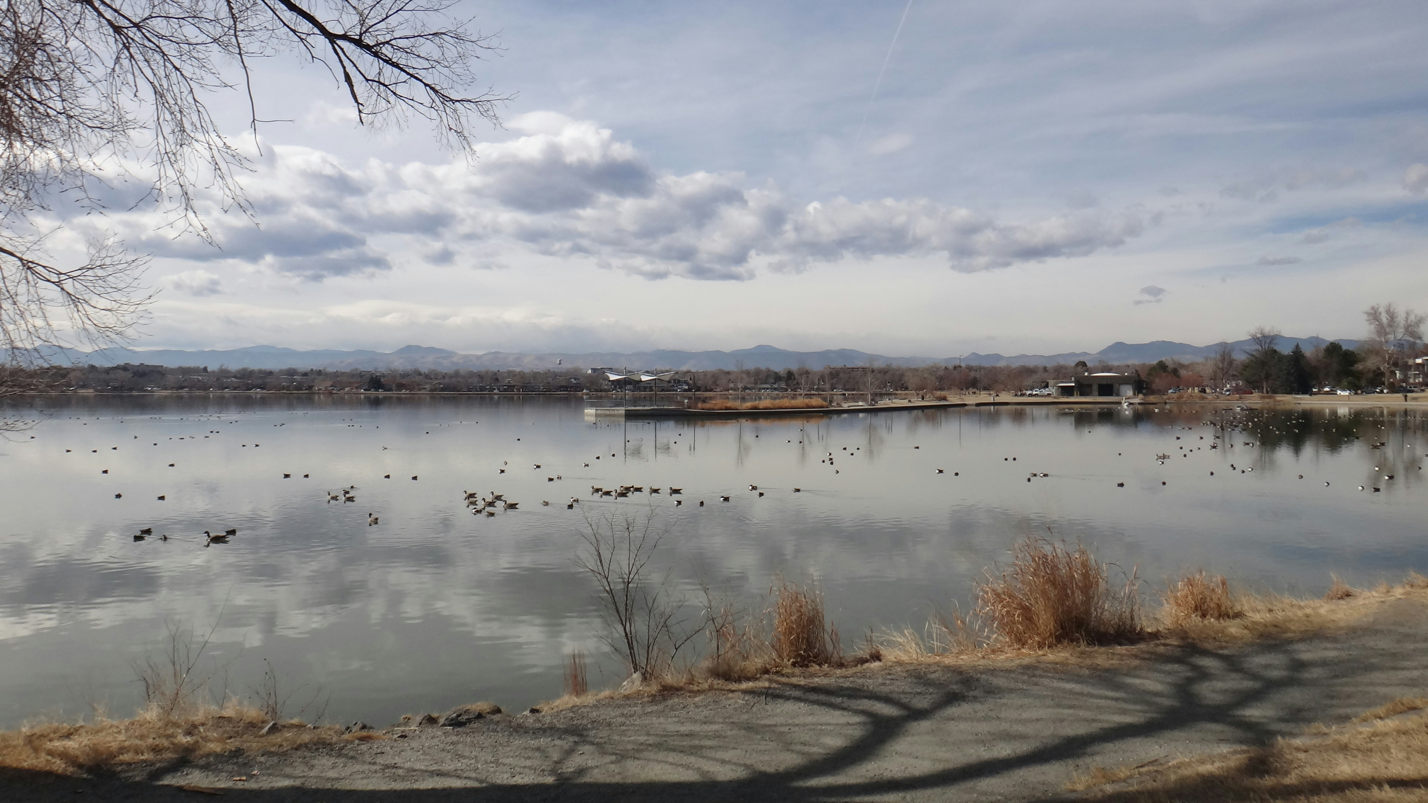 Calm lake with birds and distant mountains under clouds