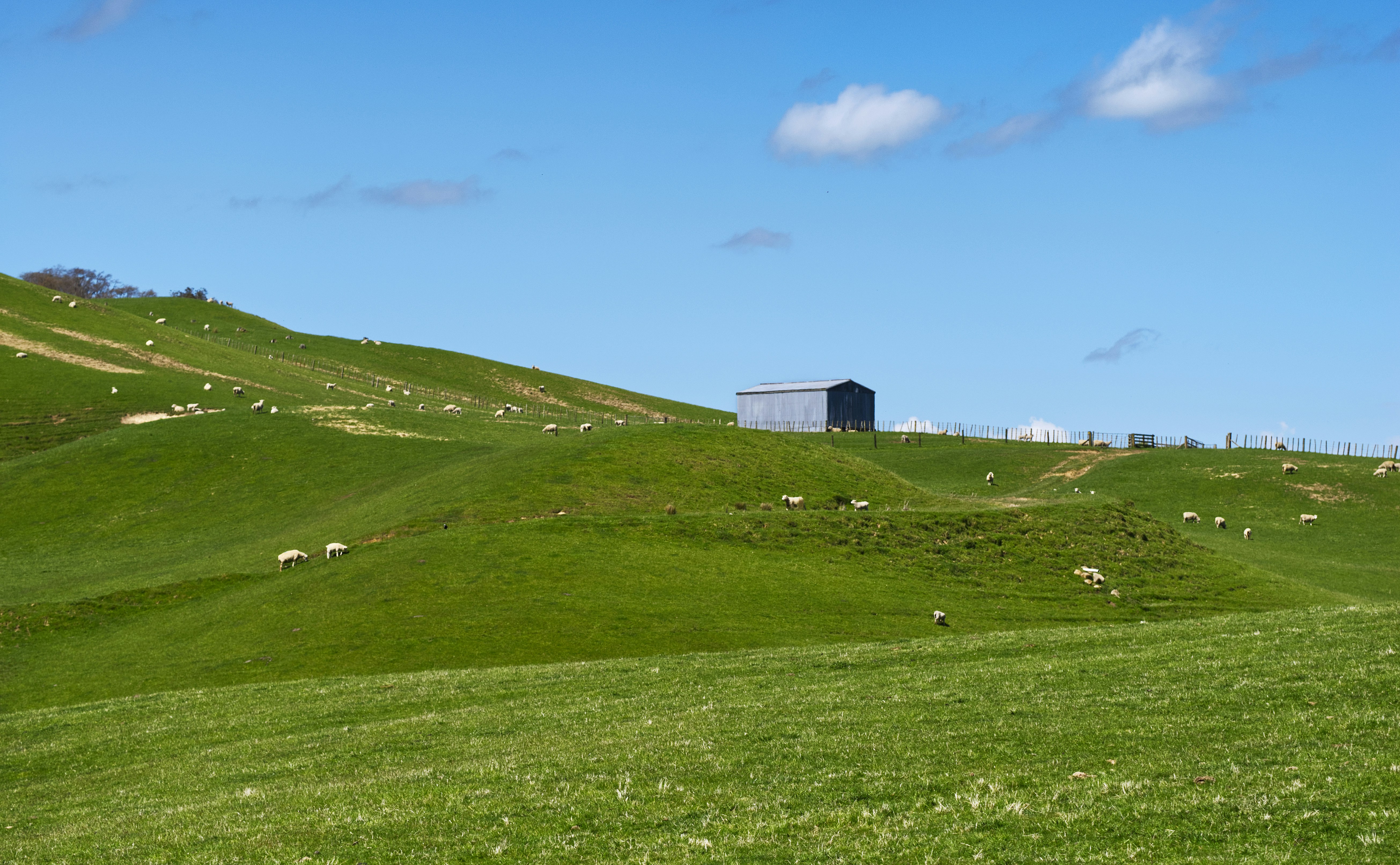 Green Hills and Lone Barn Under a Bright Sky