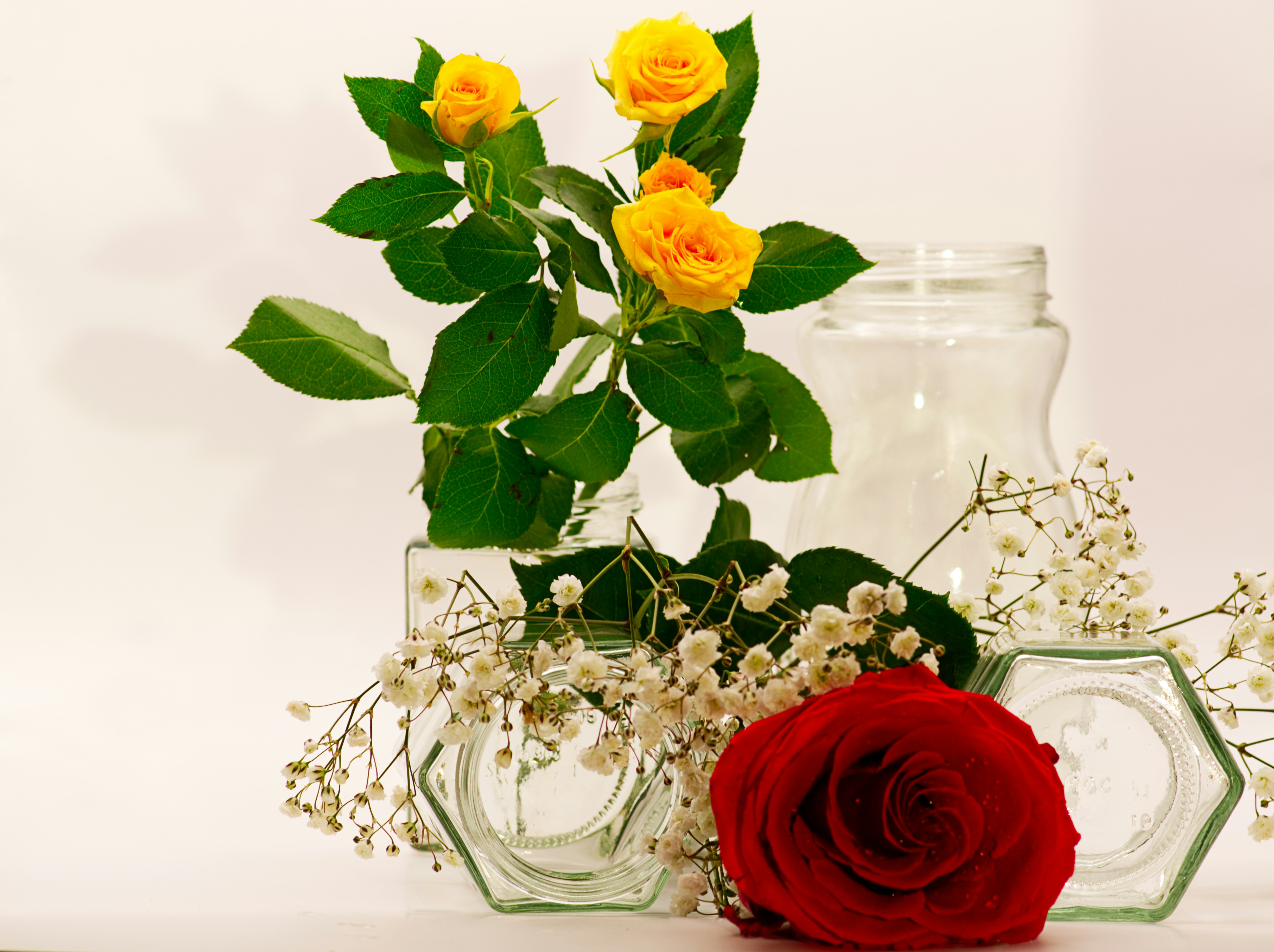 Yellow Roses in Glass and Red Bloom on a Quiet Still-life