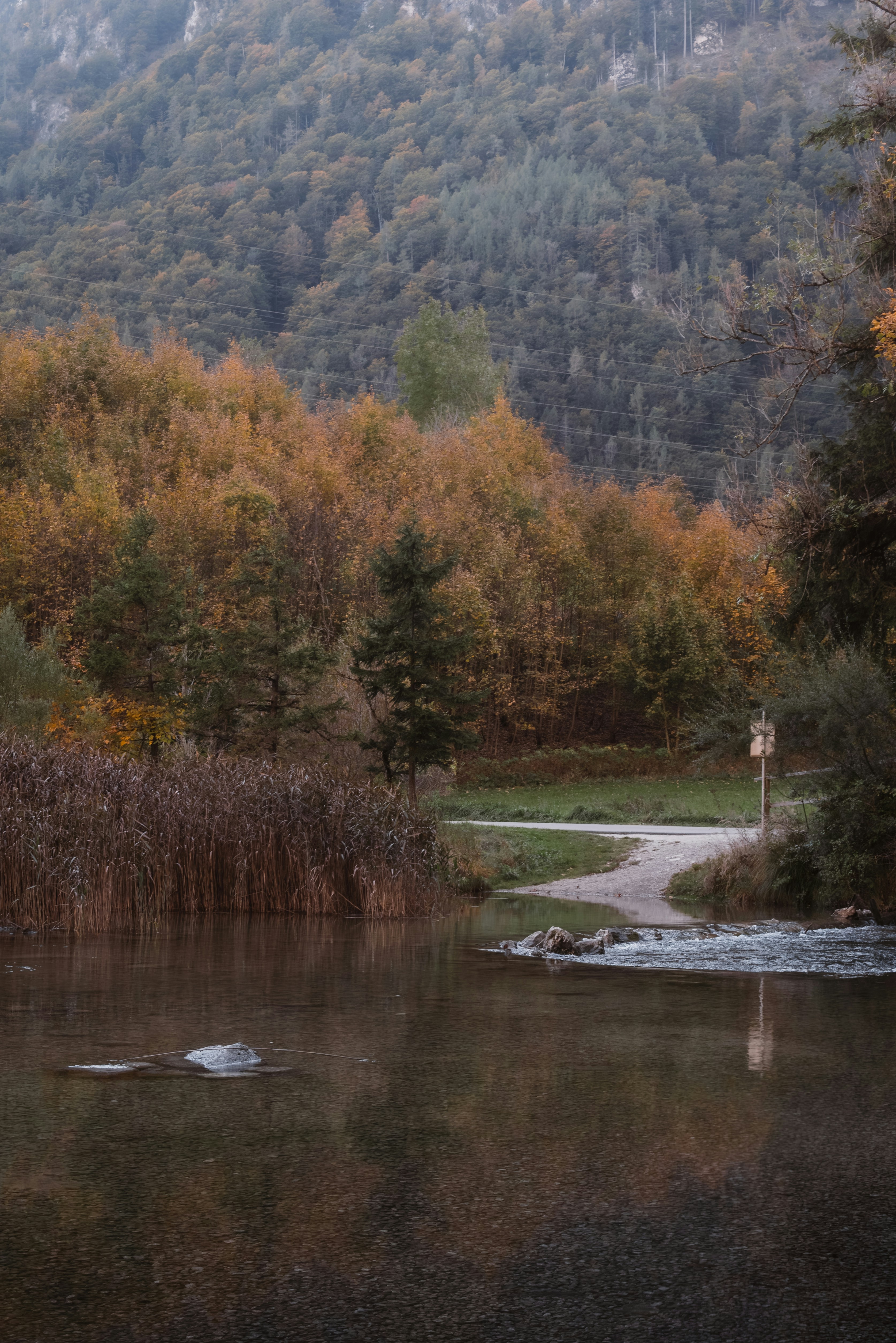 Autumn Riverbend: A Quiet Path Through Leafy Hills