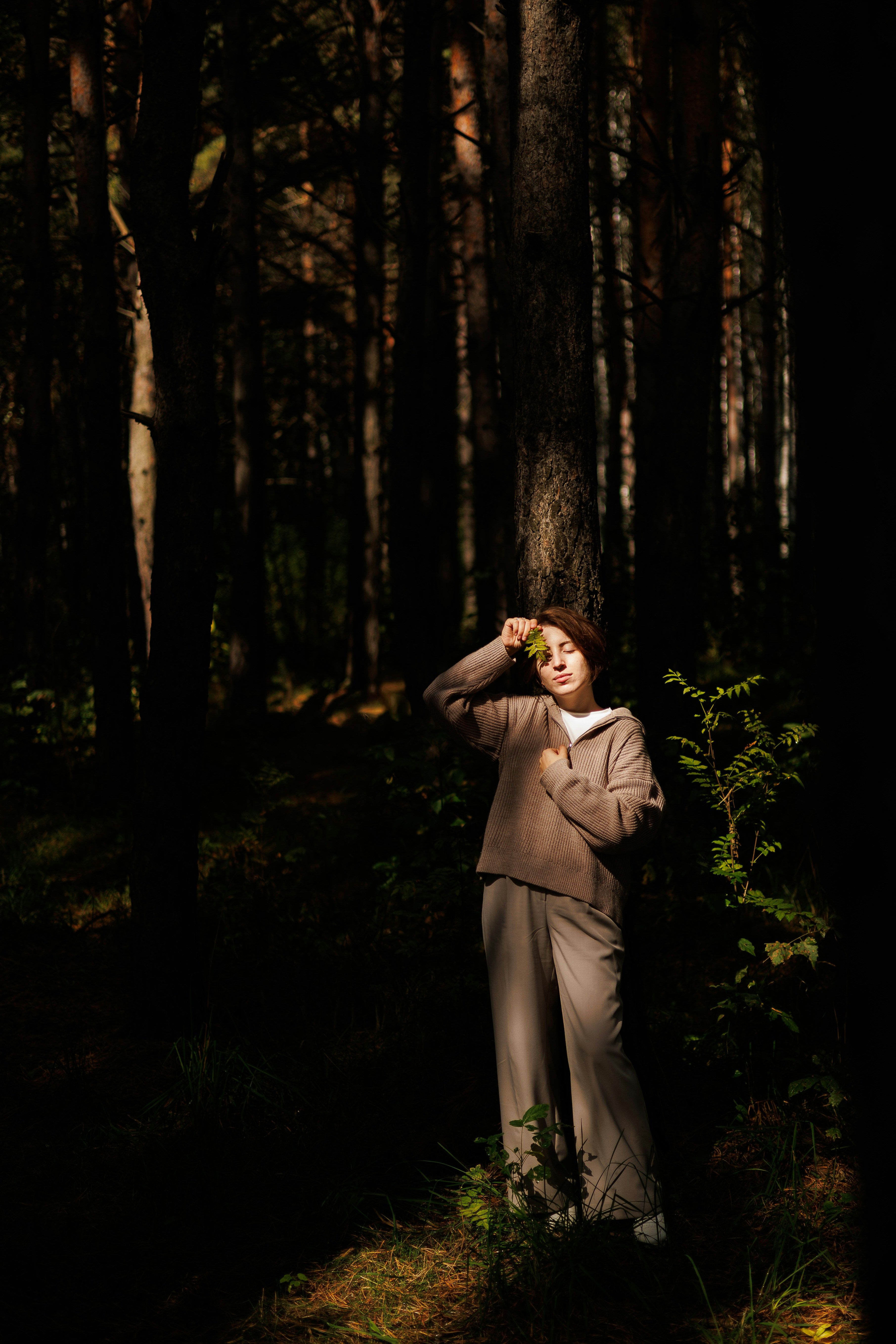 A Quietude in the Pines: Portrait Shielded by Dappled Light