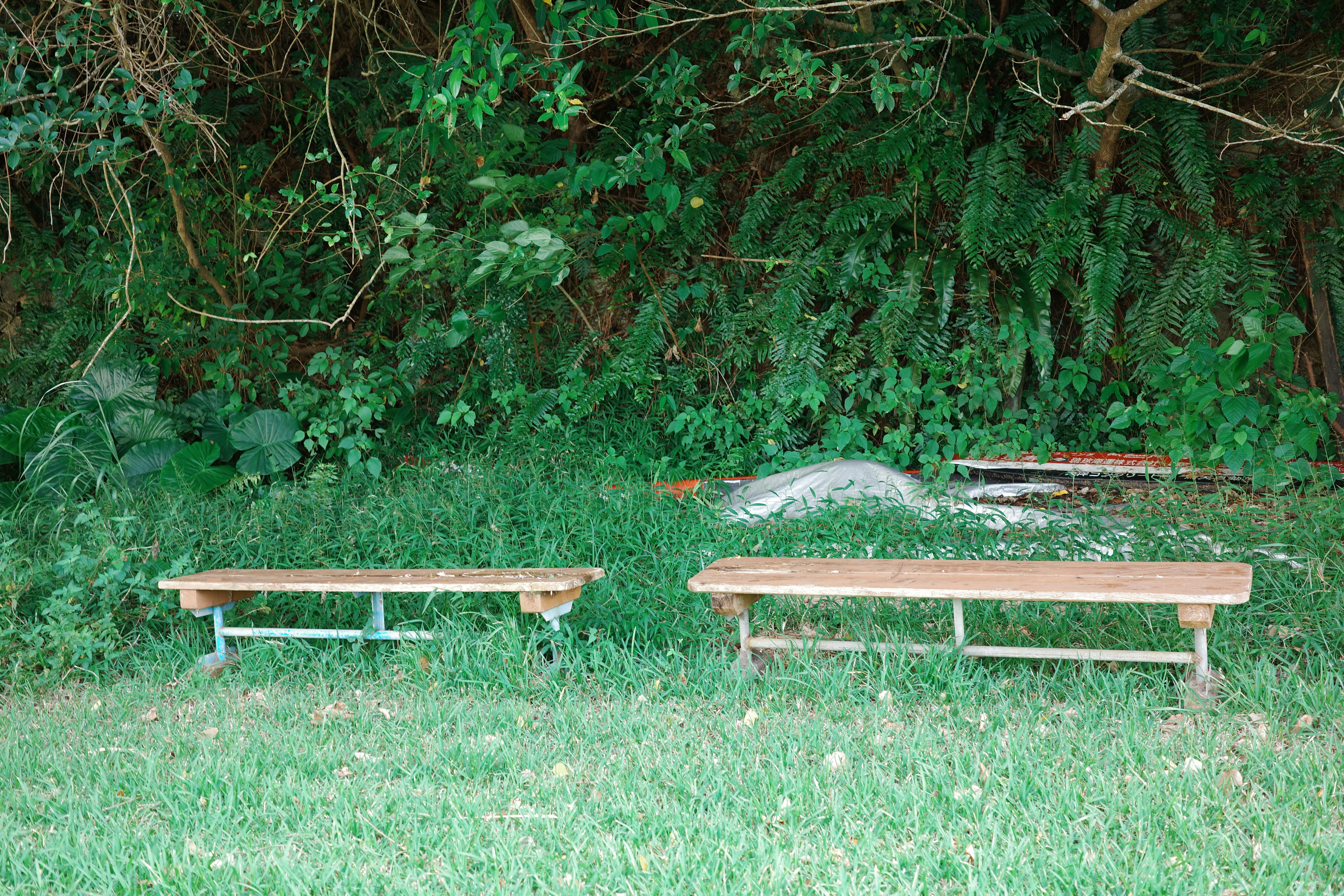 Quiet Corner: Wooden Benches Rest Before a Shadowed Hedge