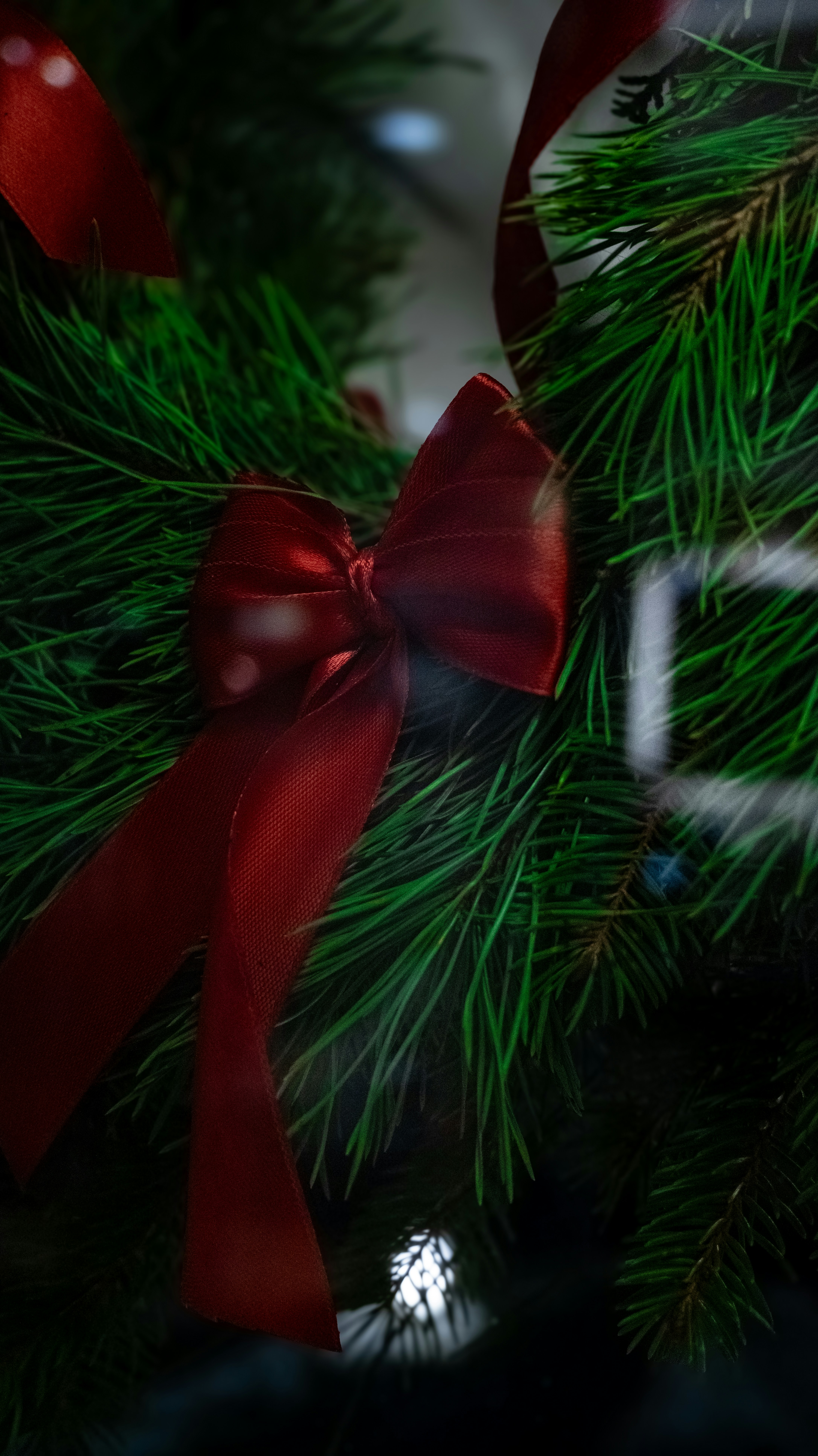 Red Ribbon Reverie: A Christmas Wreath in Quiet Focus