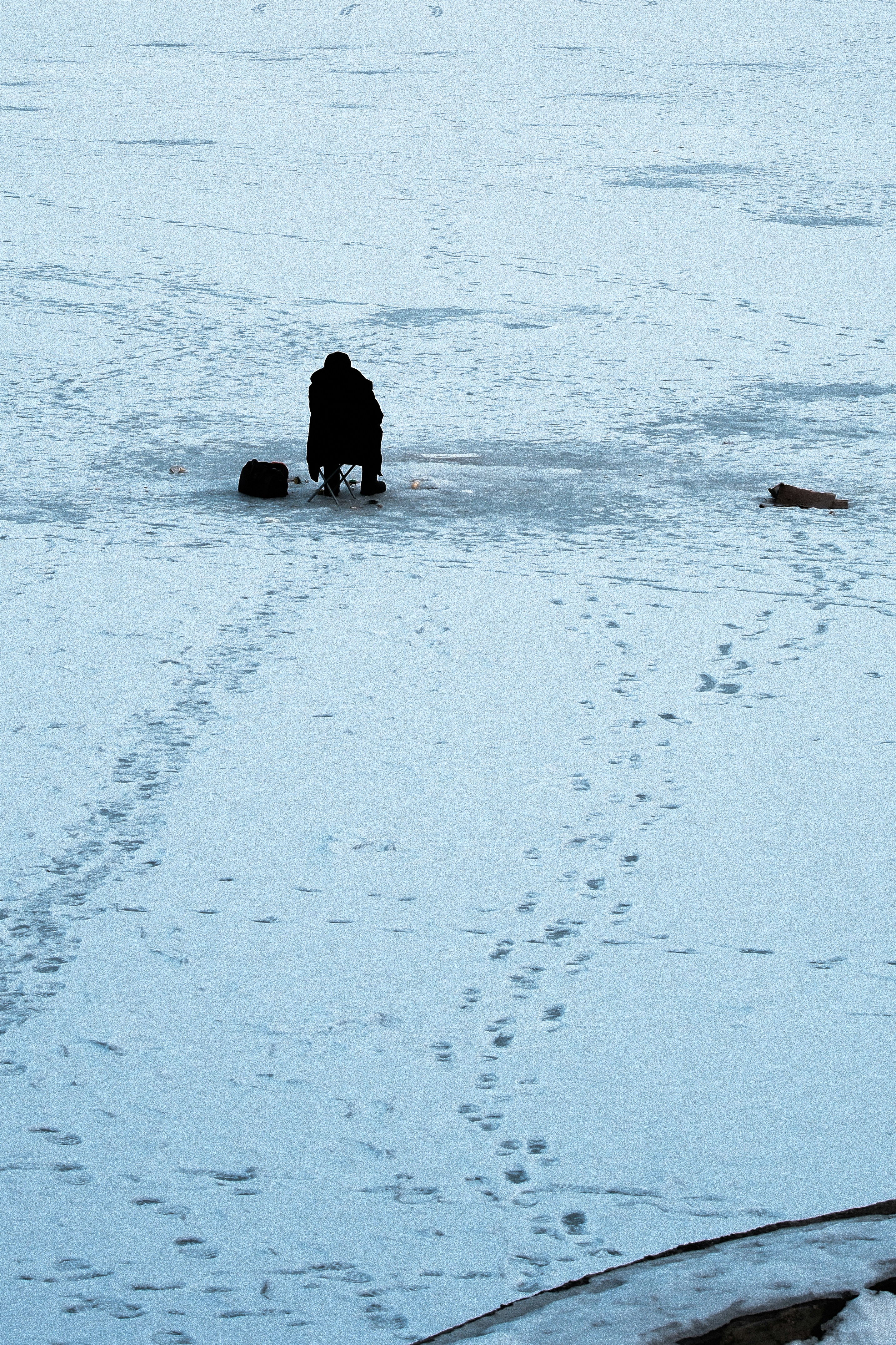 Isolation on Ice: A Silhouette Among Tracks in a Snowfield