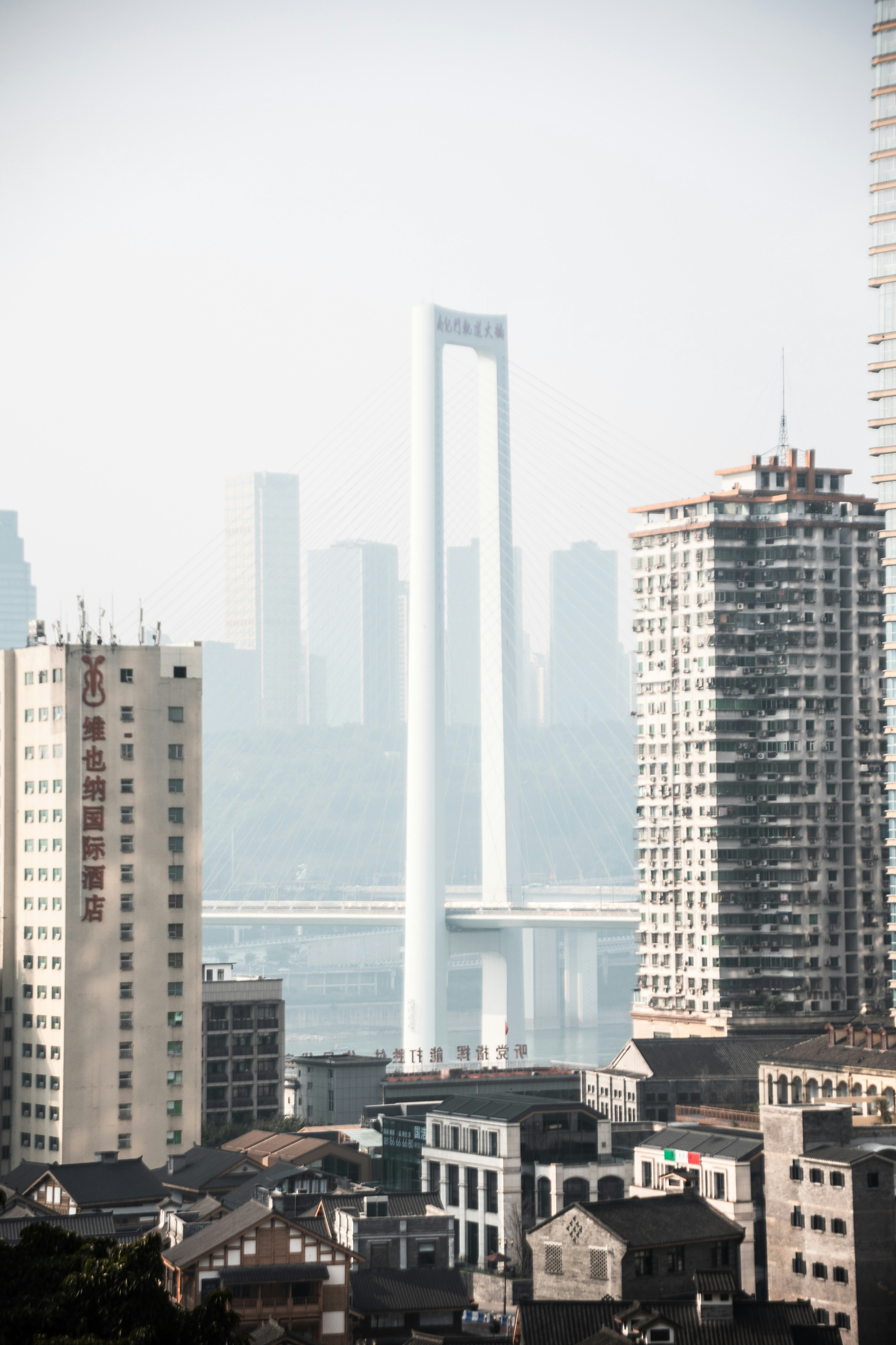 Urban Echoes: A Cityscape Framed by Bridges and Rising Towers