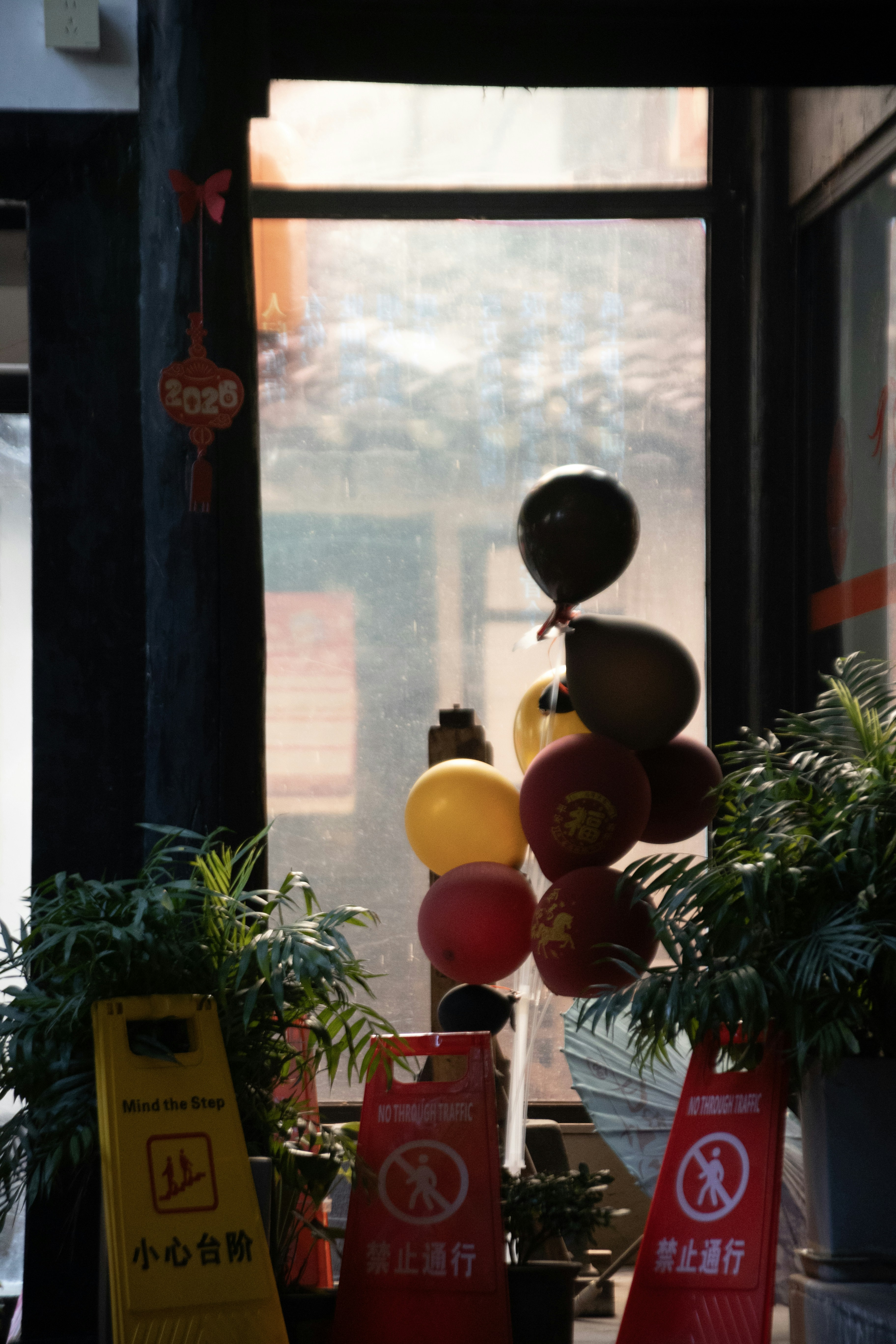 Balloon bouquet in a sunlit doorway framed by tropical plants