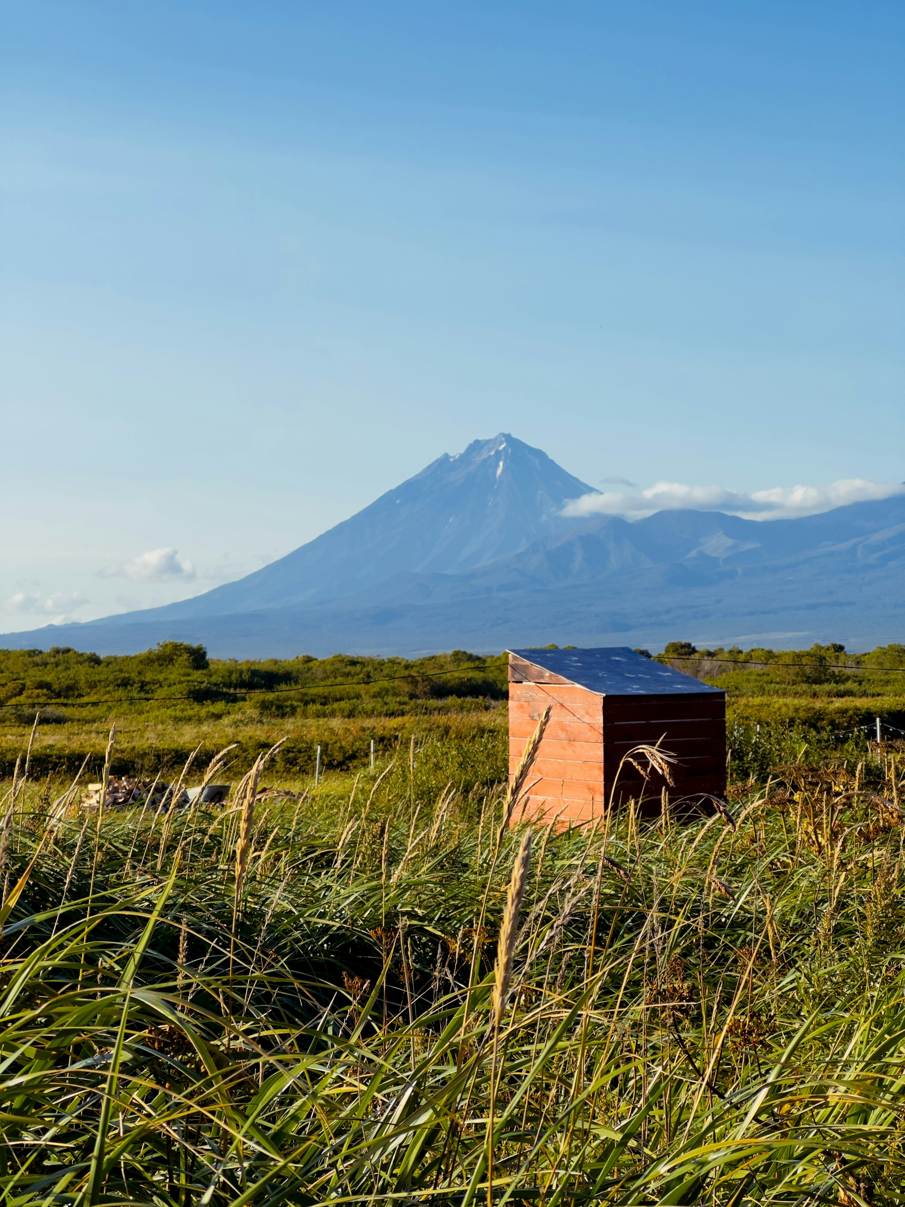 Domed Beehive, Grassland, and a Snow-Capped Peak