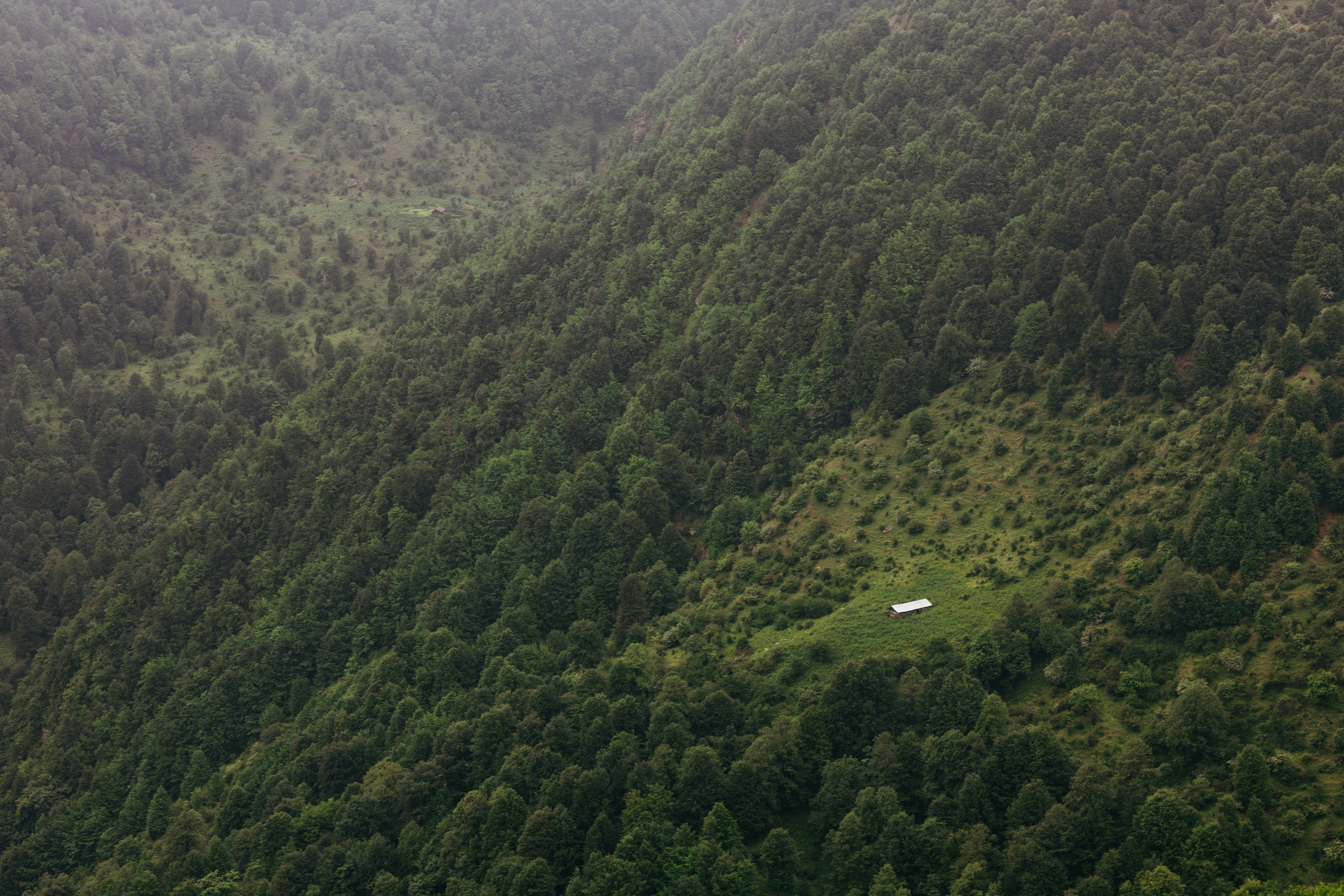 A lone shelter tucked within emerald ridges