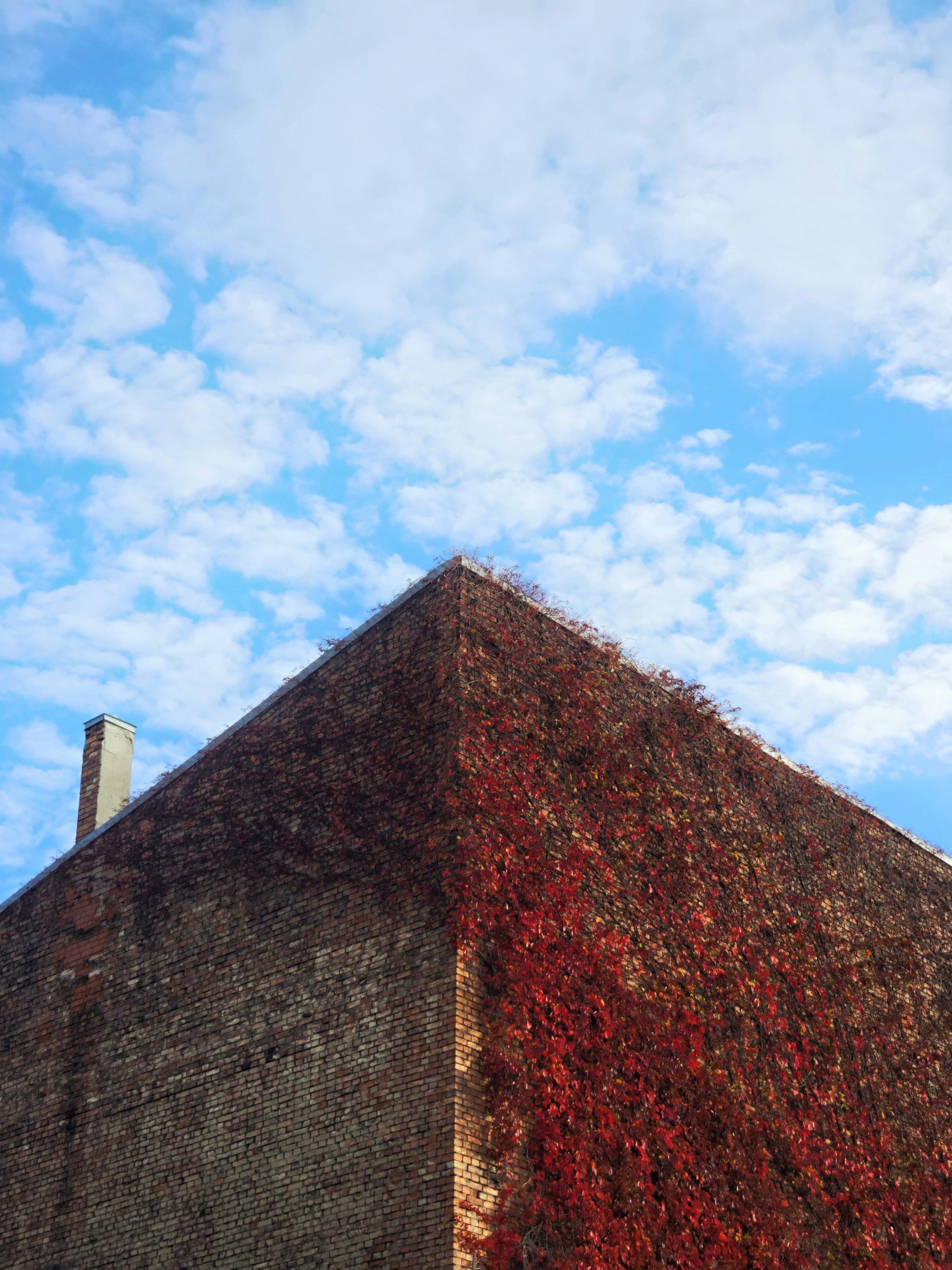 Brick Facade Adorned with Crimson Ivy Under a Bright Sky