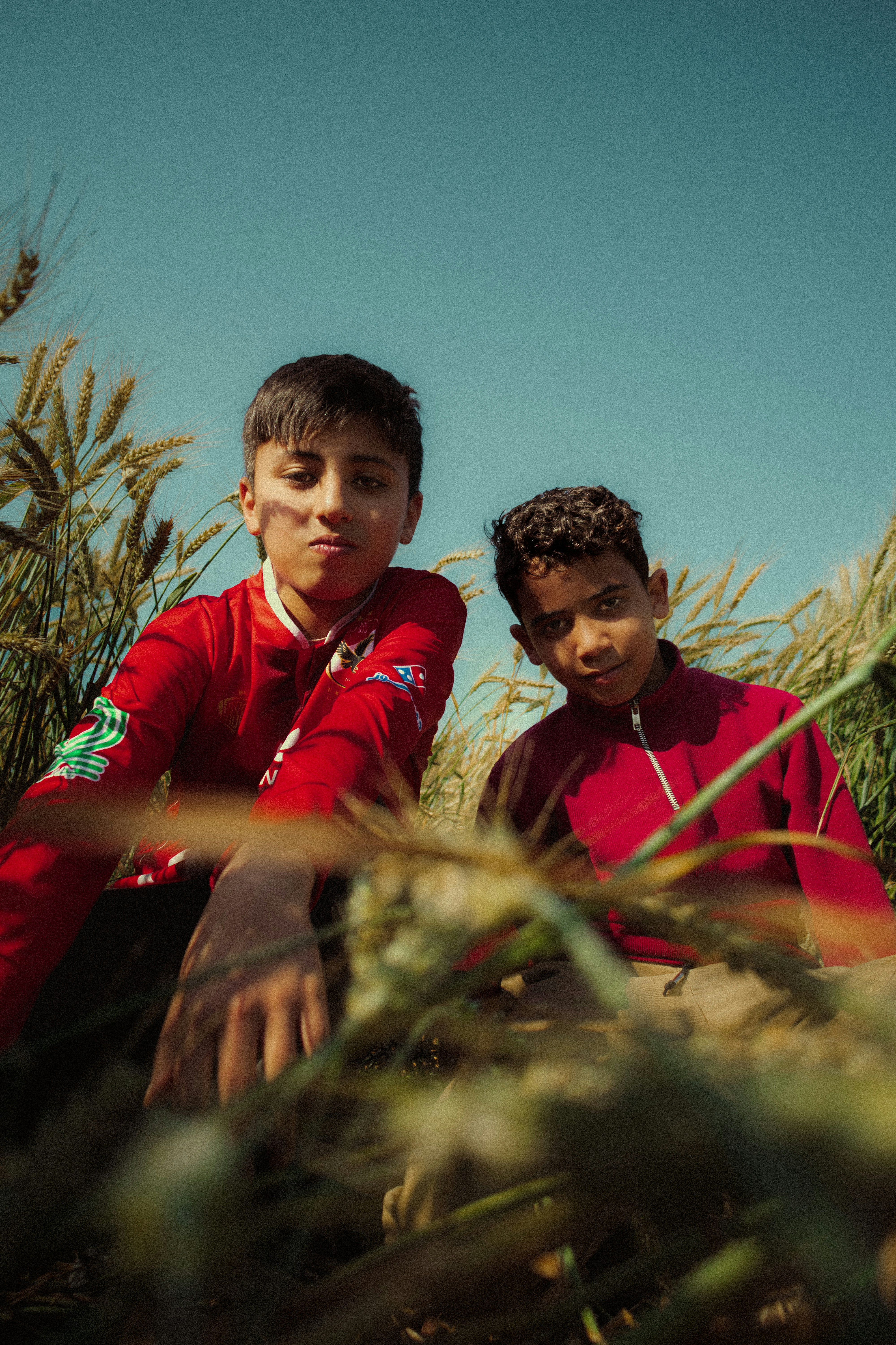 Two Friends in a Sunlit Cane Field