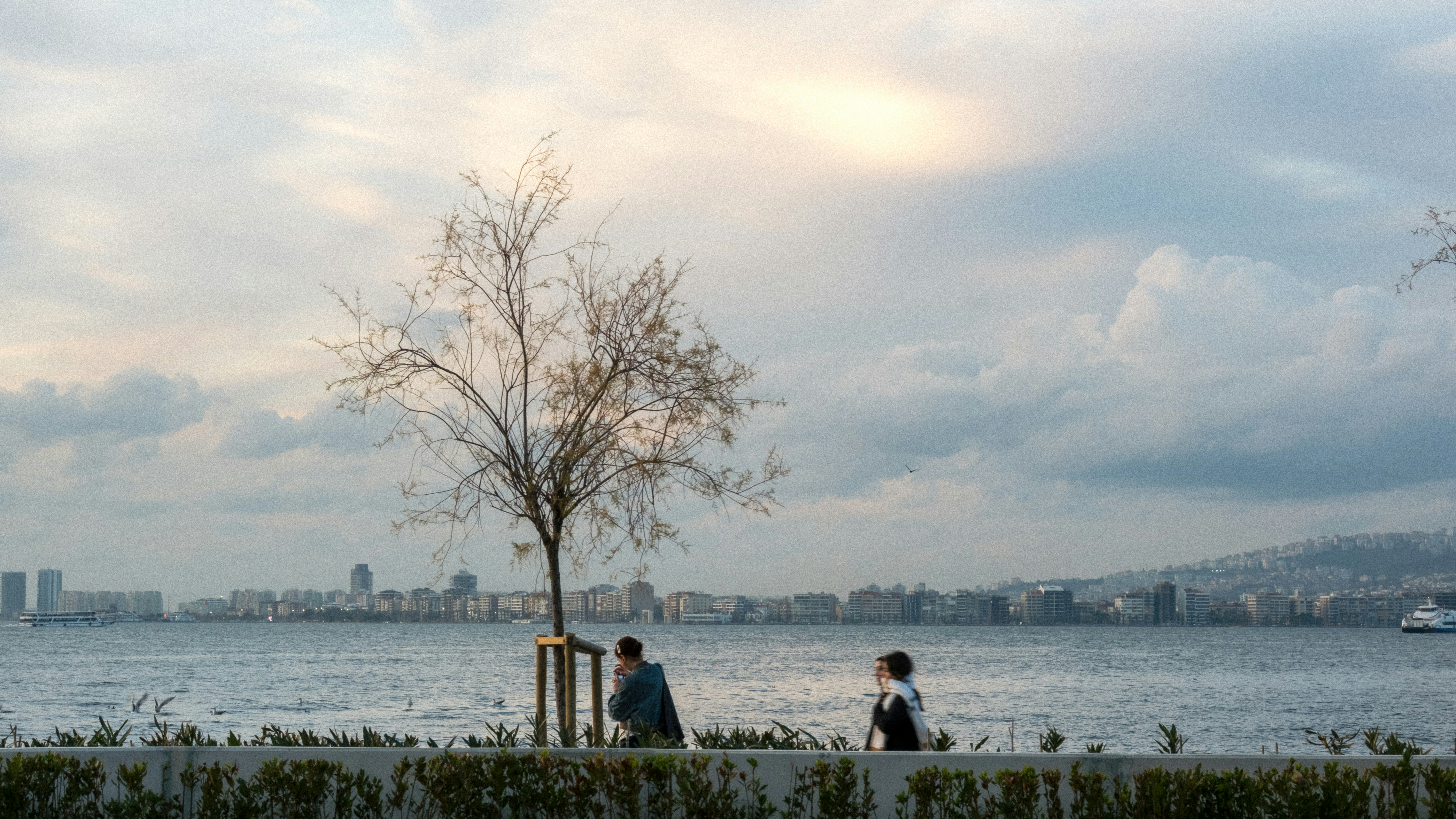 Quiet promenade by the bay with distant cityscape
