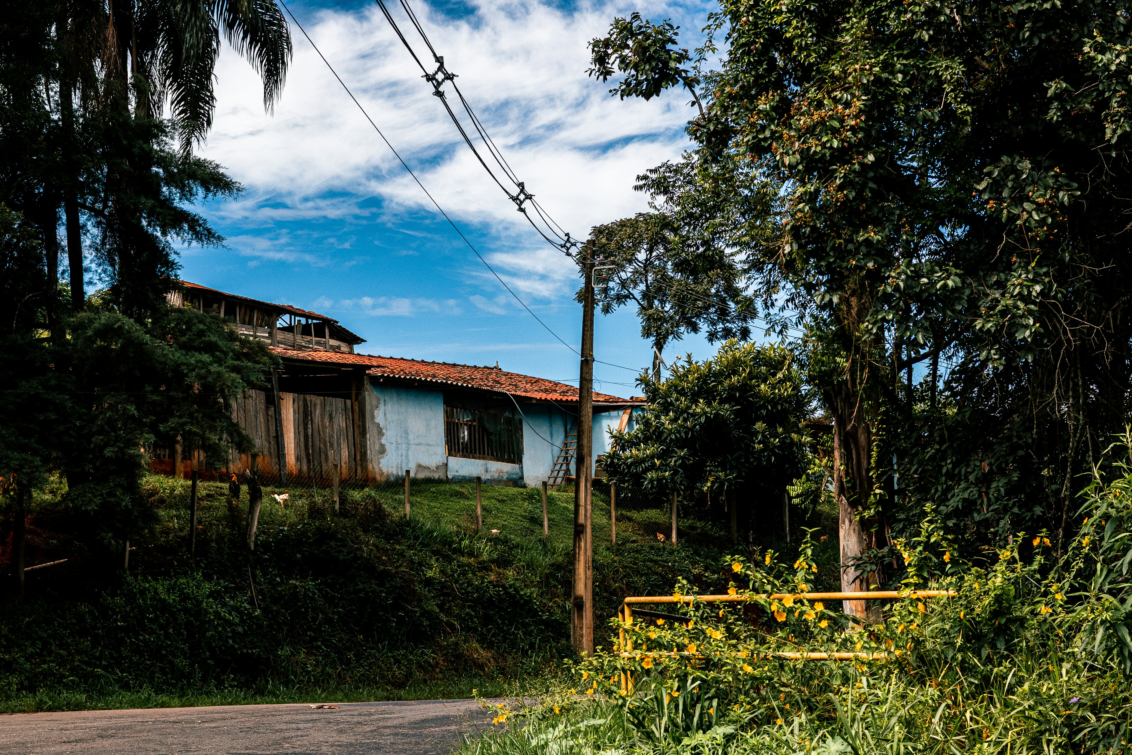 Rural Roadside Oasis: Sunlit House, Cable Lines, and Yellow Gate