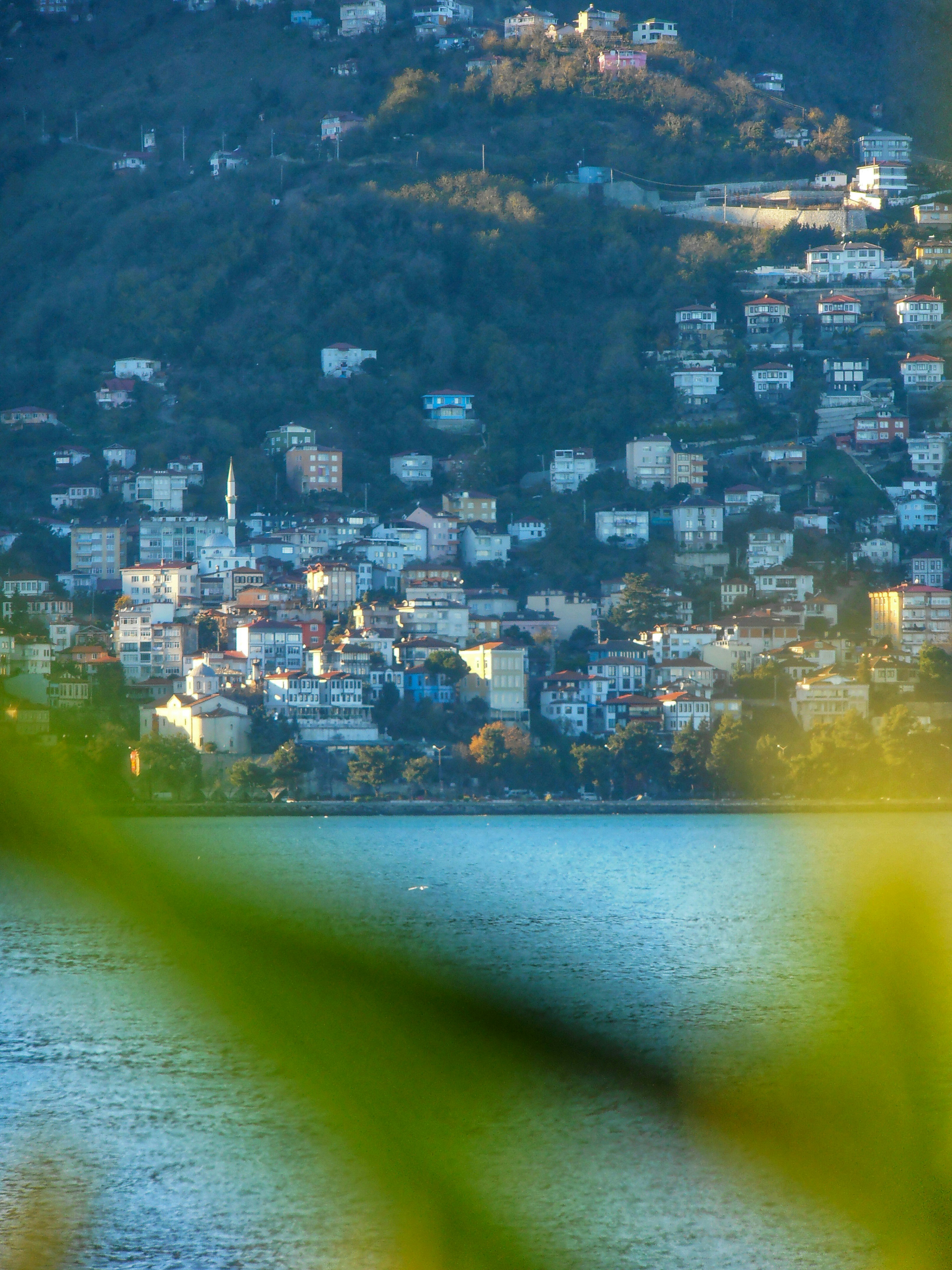 Coastal town nestled on a green hillside overlooking the sea.
