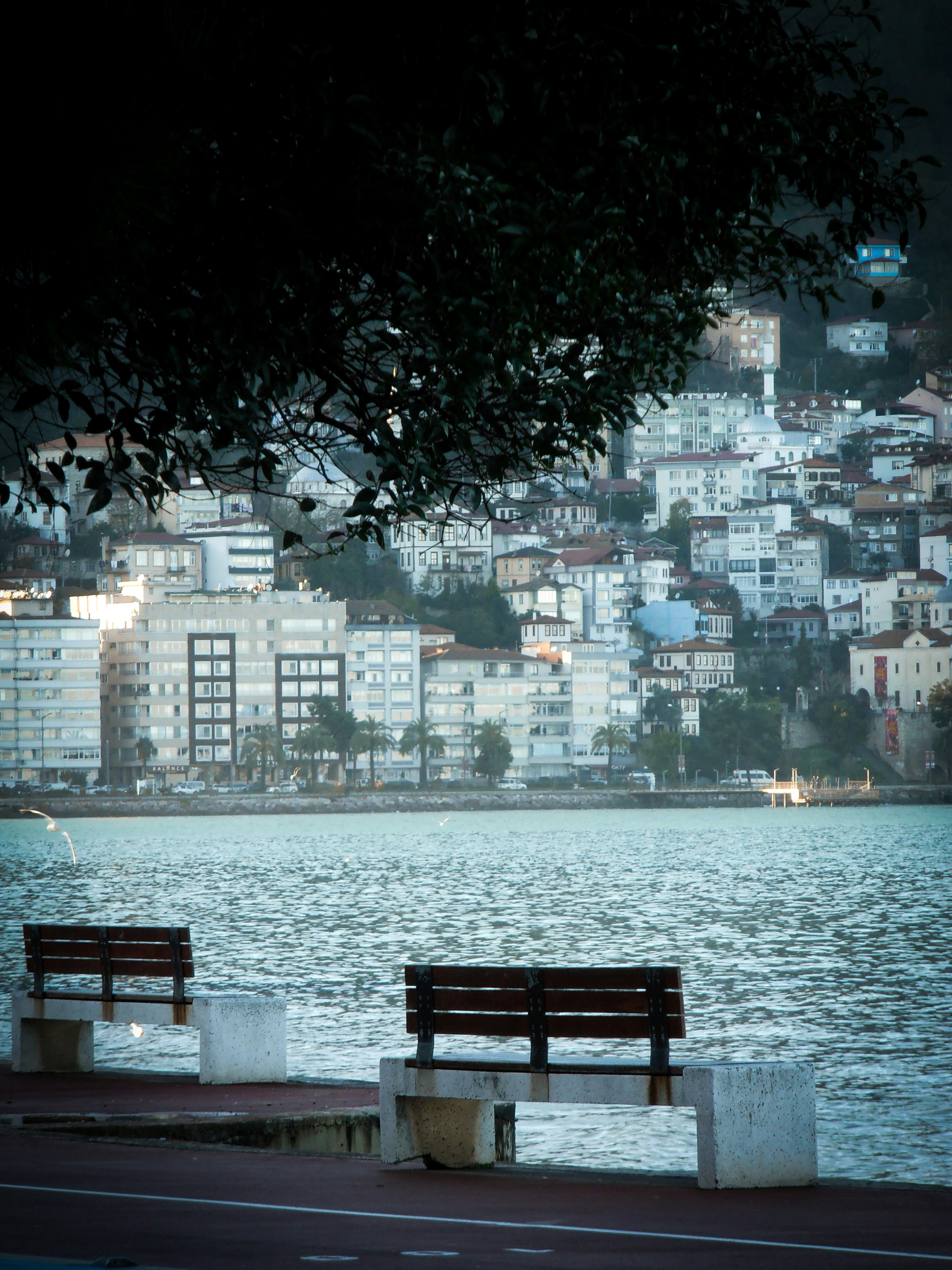 Two empty benches overlook a city across the water.