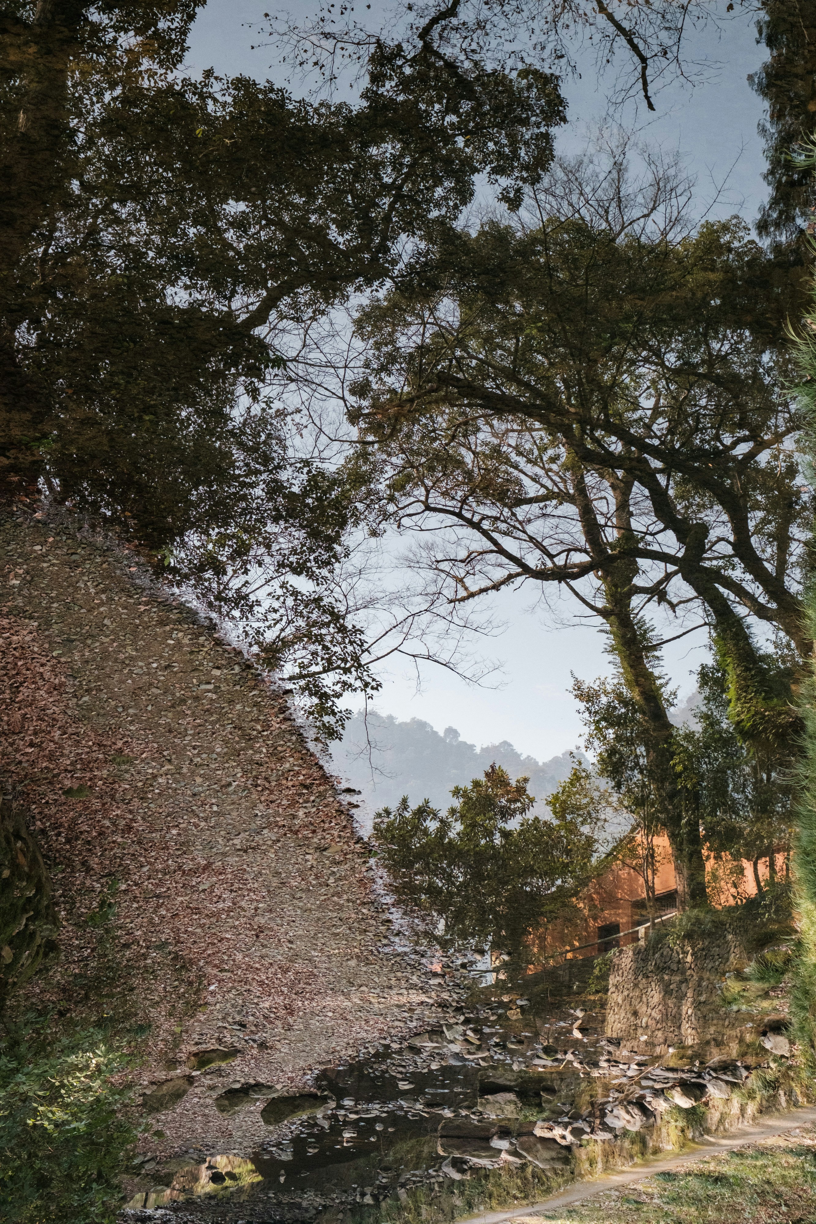 Old Wall and Tree Canopy Framing a Quiet Path
