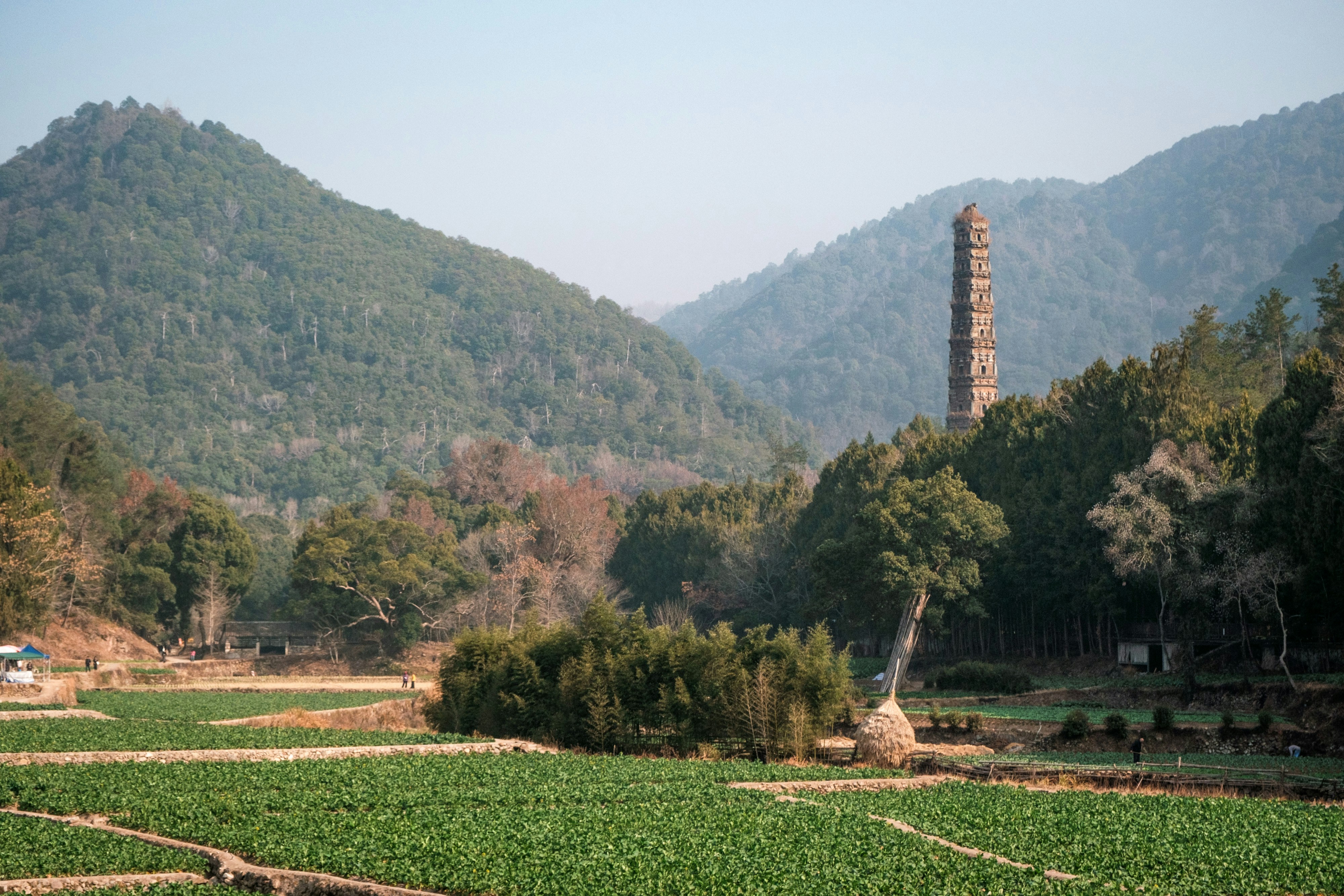 Stone Pagoda Rising Above Terraced Fields