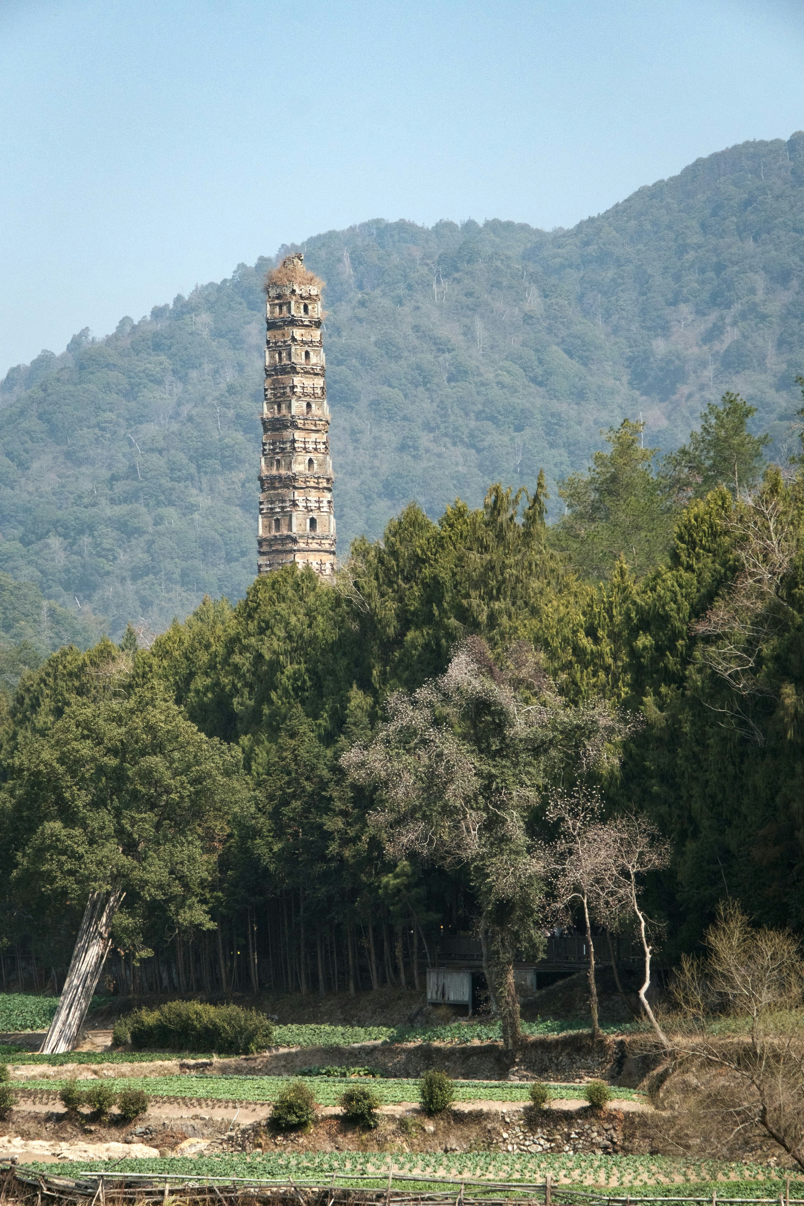 Stone Pagoda Rising Above the Forested Valley