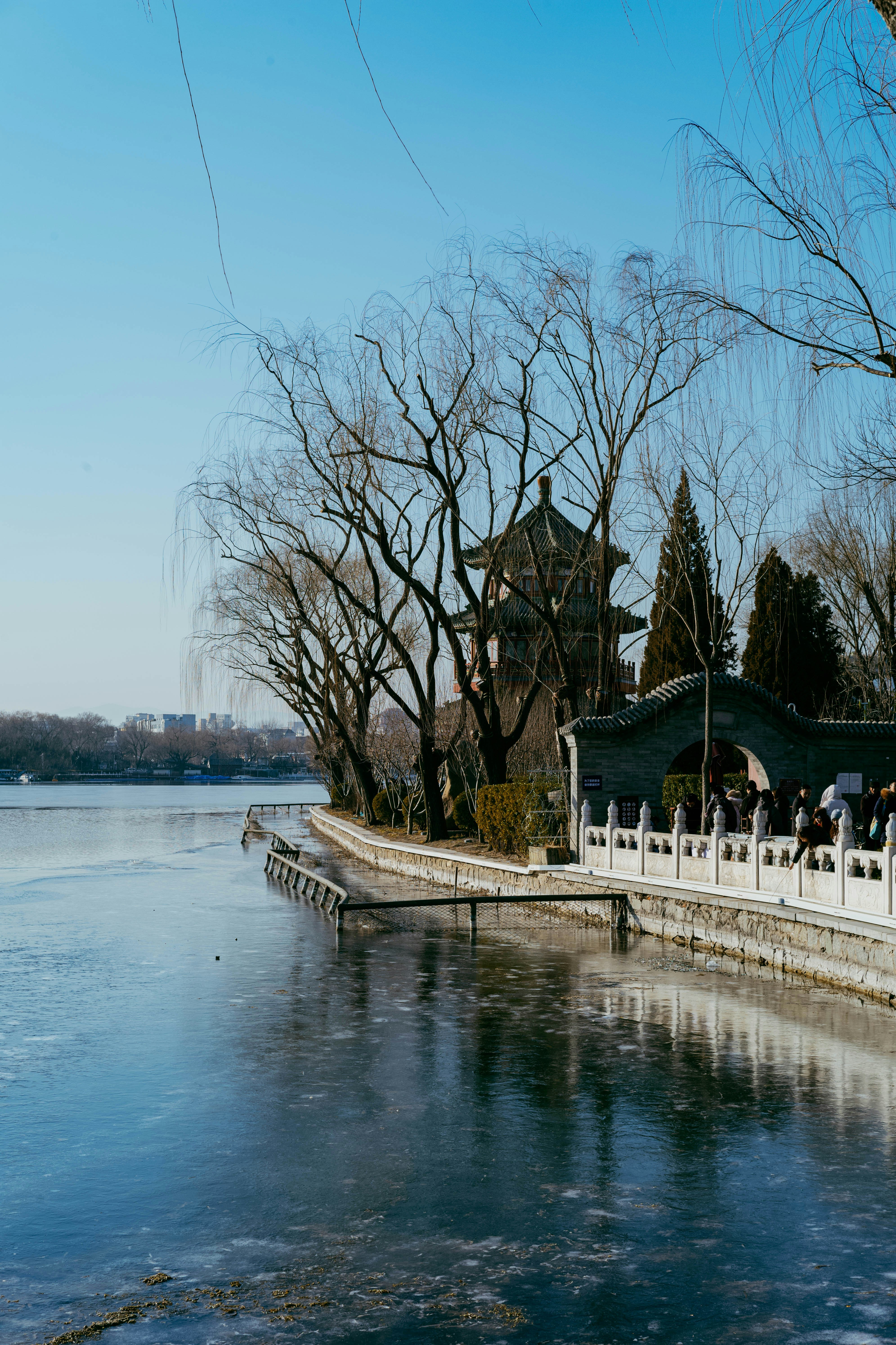 Winter Riverside Pagoda: Quiet Path by the Icy Shore