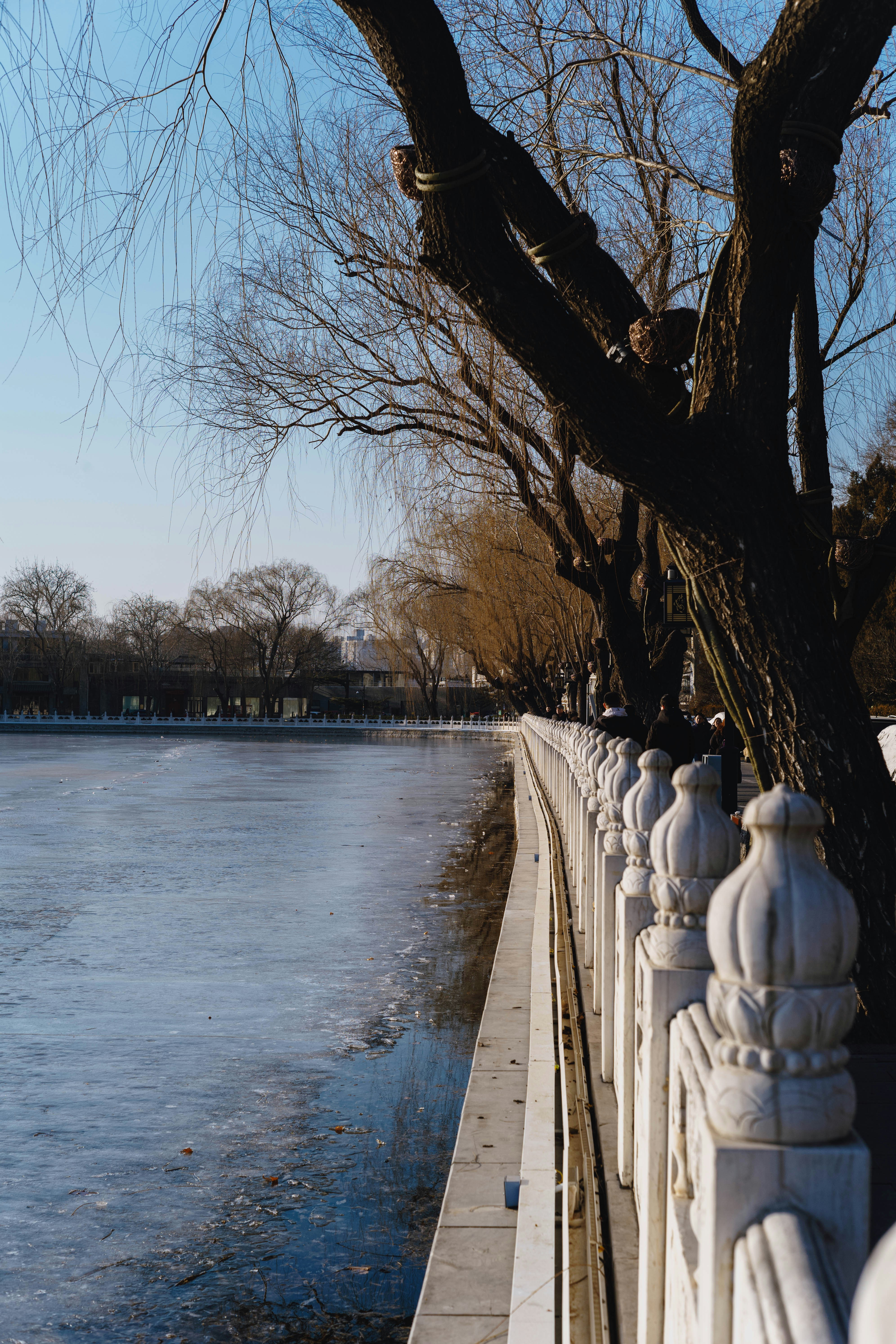 Winter Riverside: A Shadowed Path of White Caps