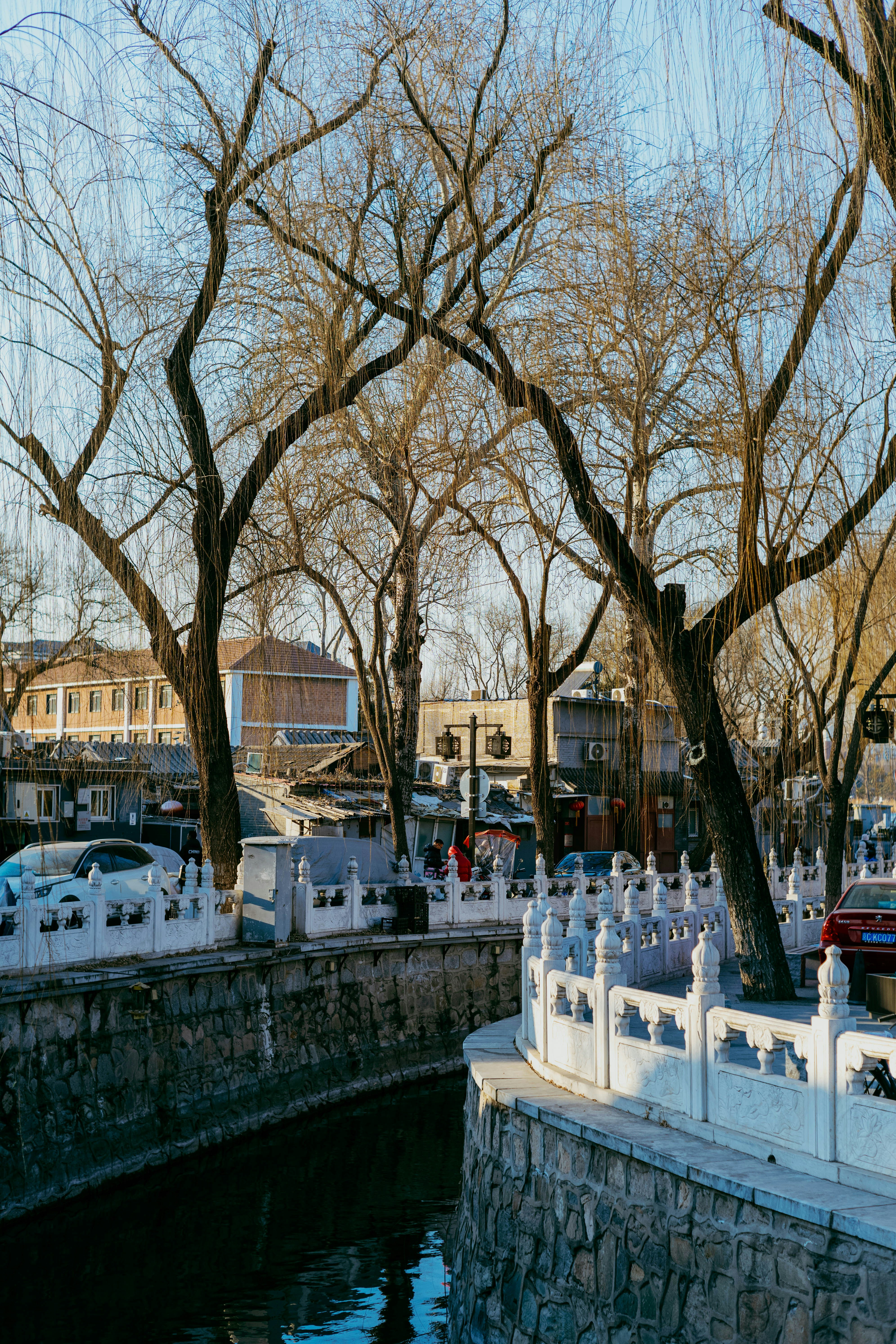 Winter Bridge over Quiet Canal with Leafless Arboreal Silhouettes