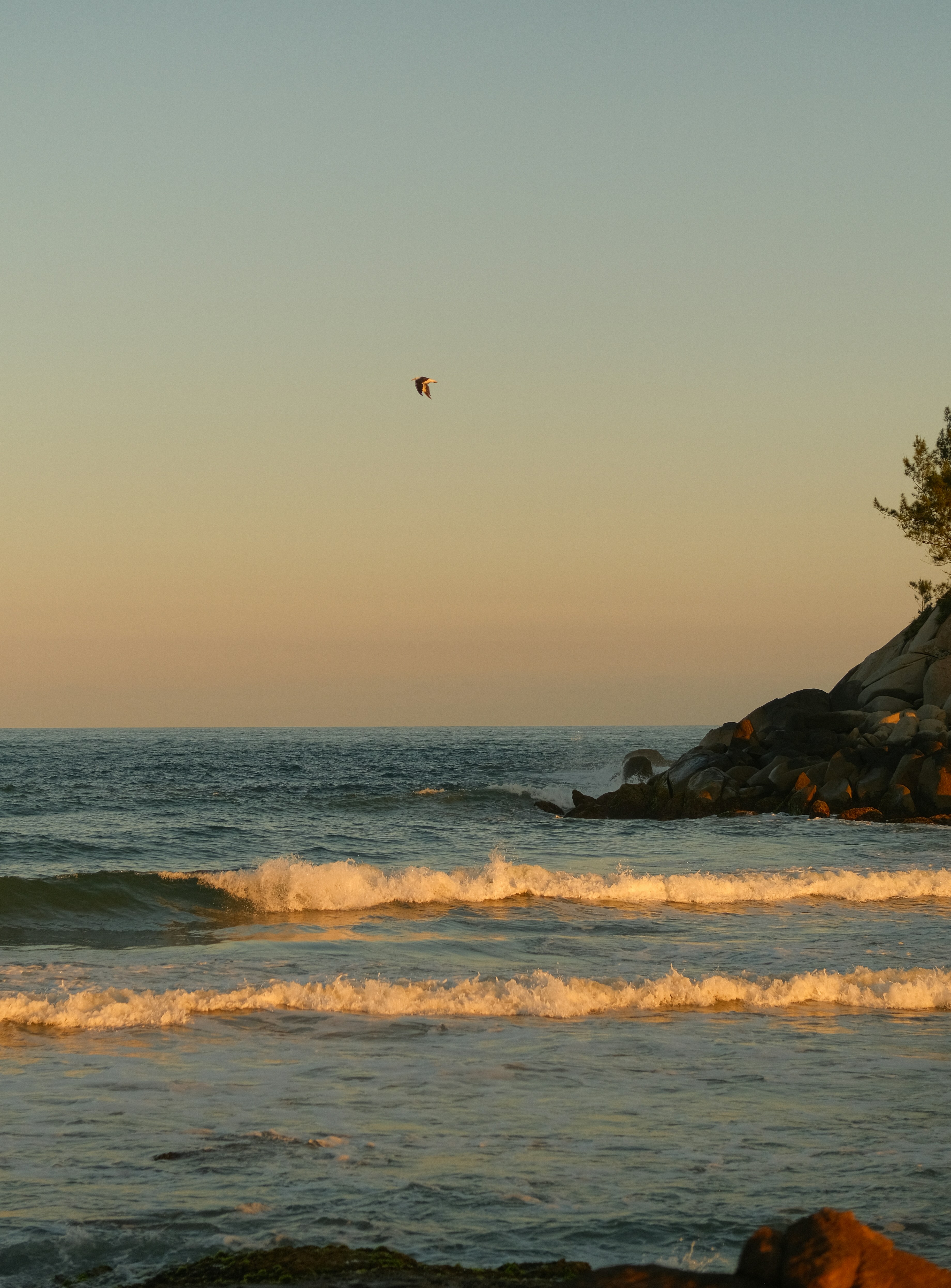 Sea Light on the Cape: A Quiet Horizon with Moving Wave Crests