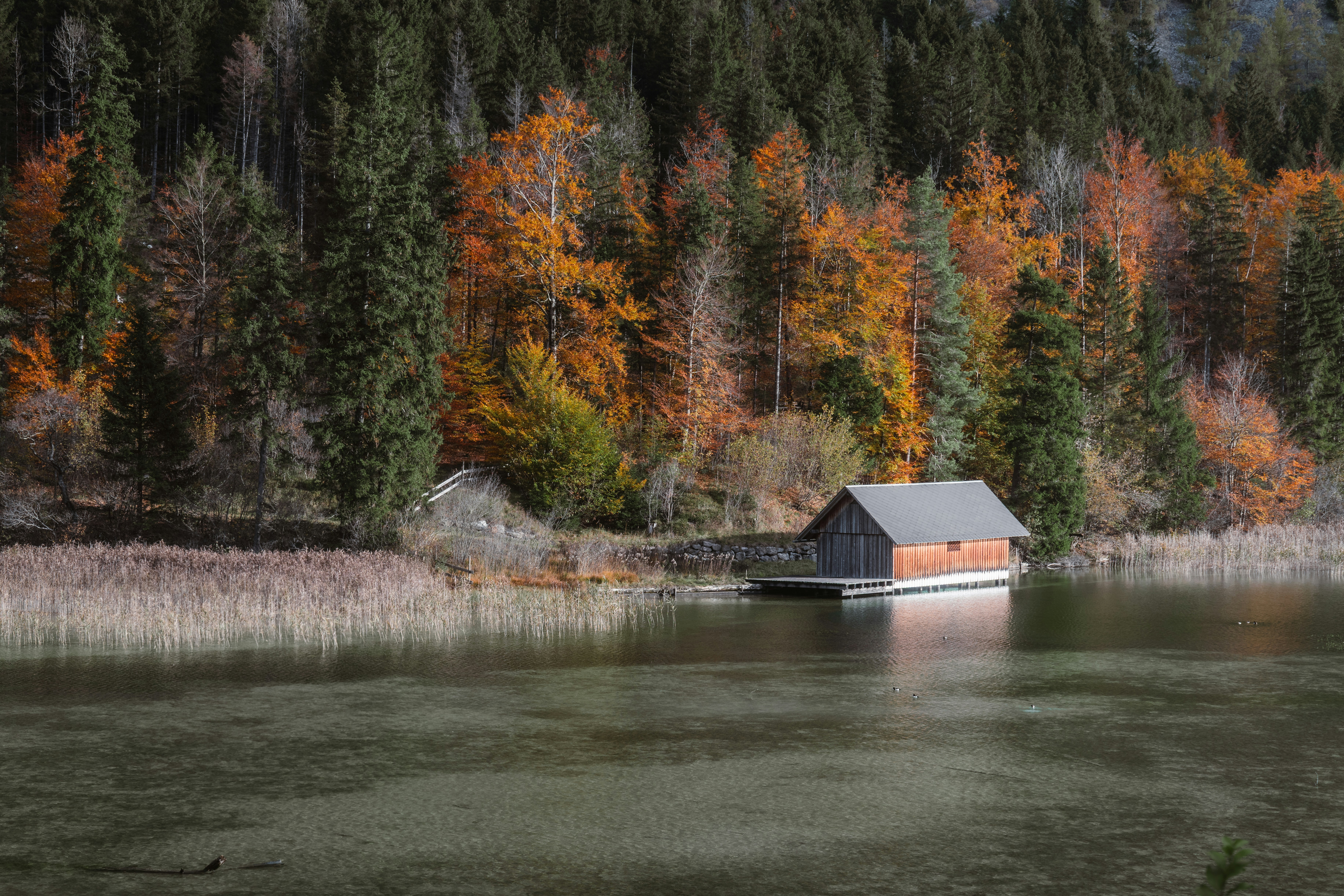 House on the Quiet Lake: Autumn Reflections