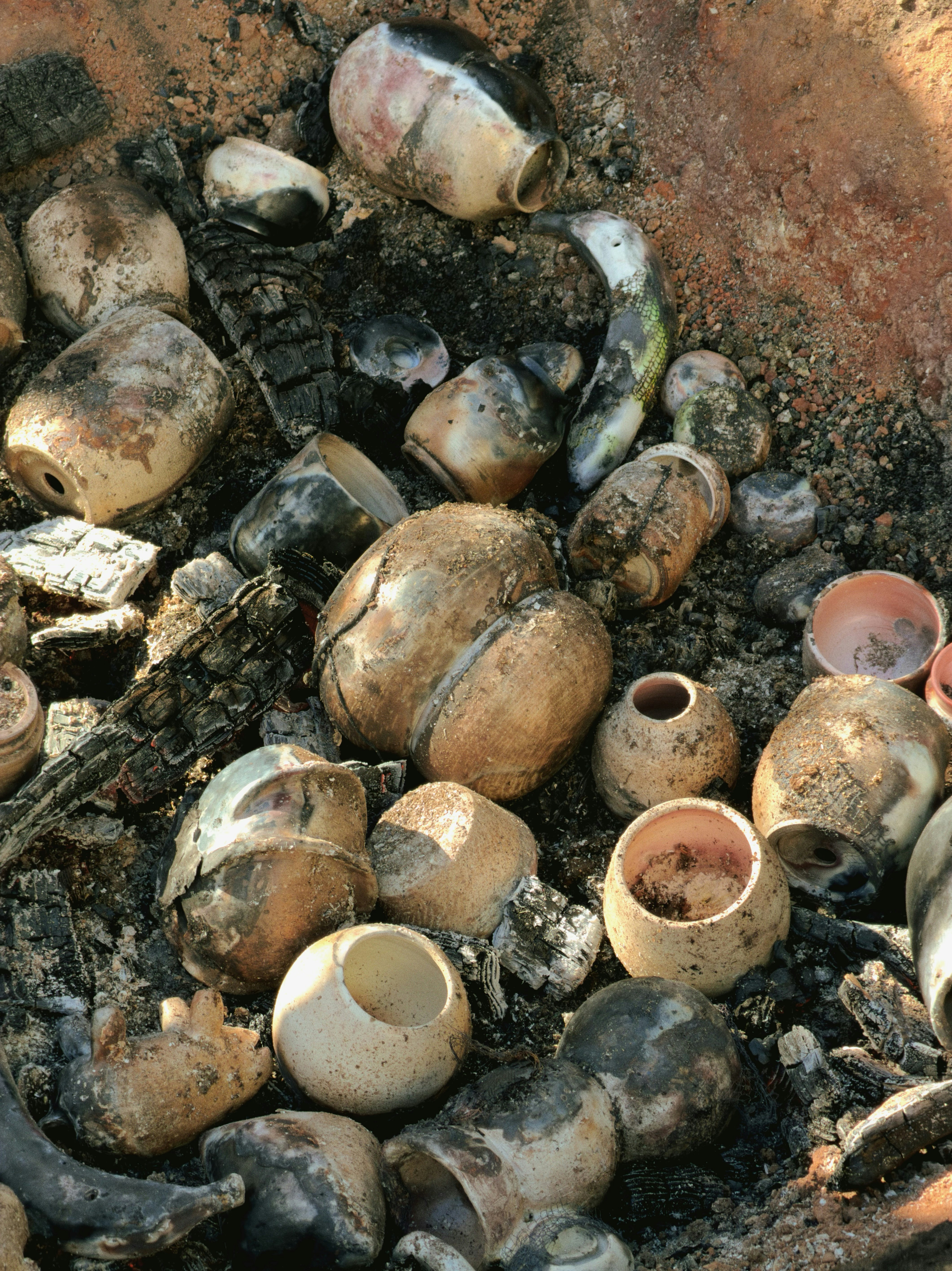 Ceramic Shards at the Ashen Shore