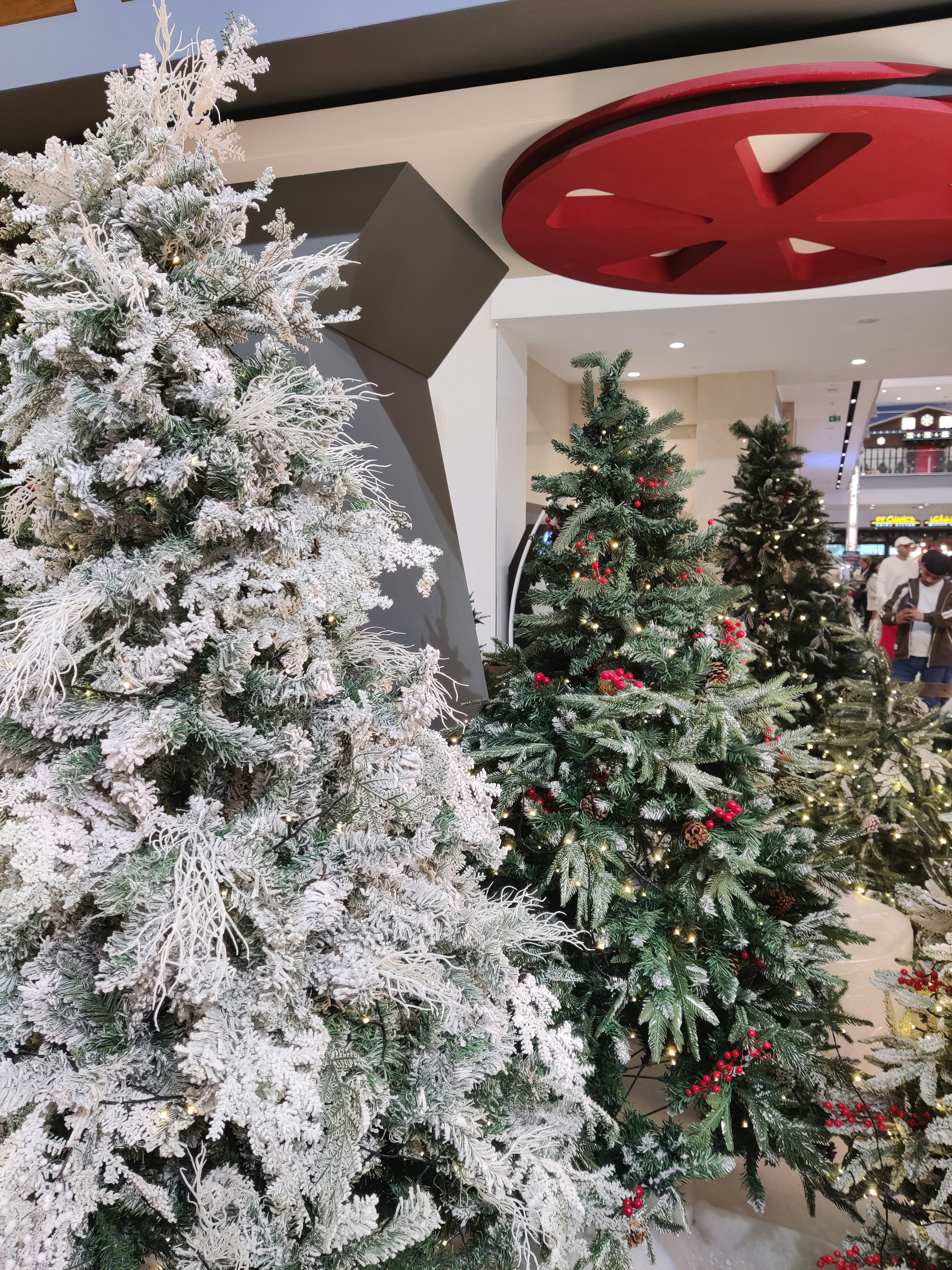 Snow-Frosted Pines in a Festive Mall Corridor