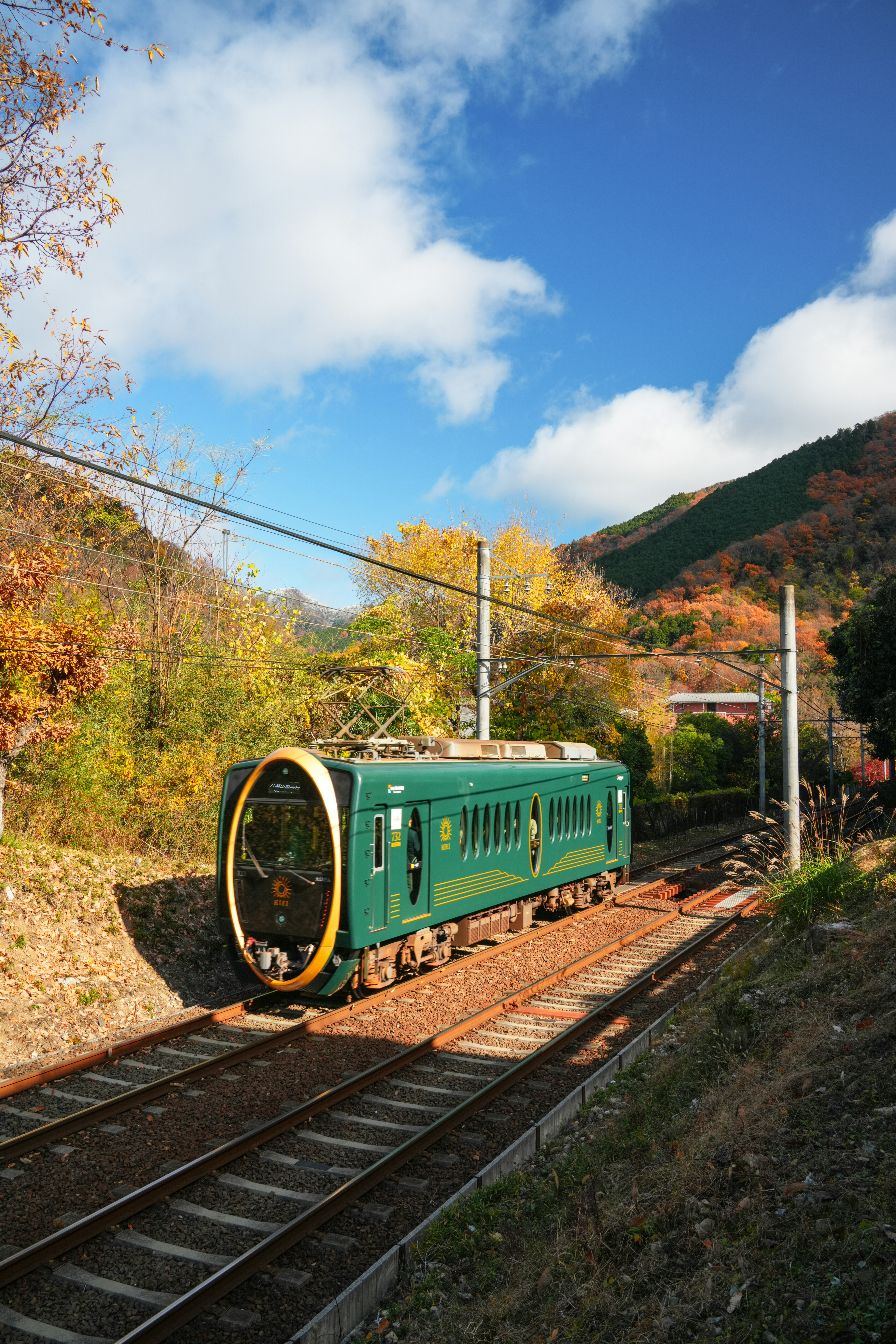 Emerald Narrow-Gauge Passenger: A Scenic Mountain Railcar Rides the Autumn Line