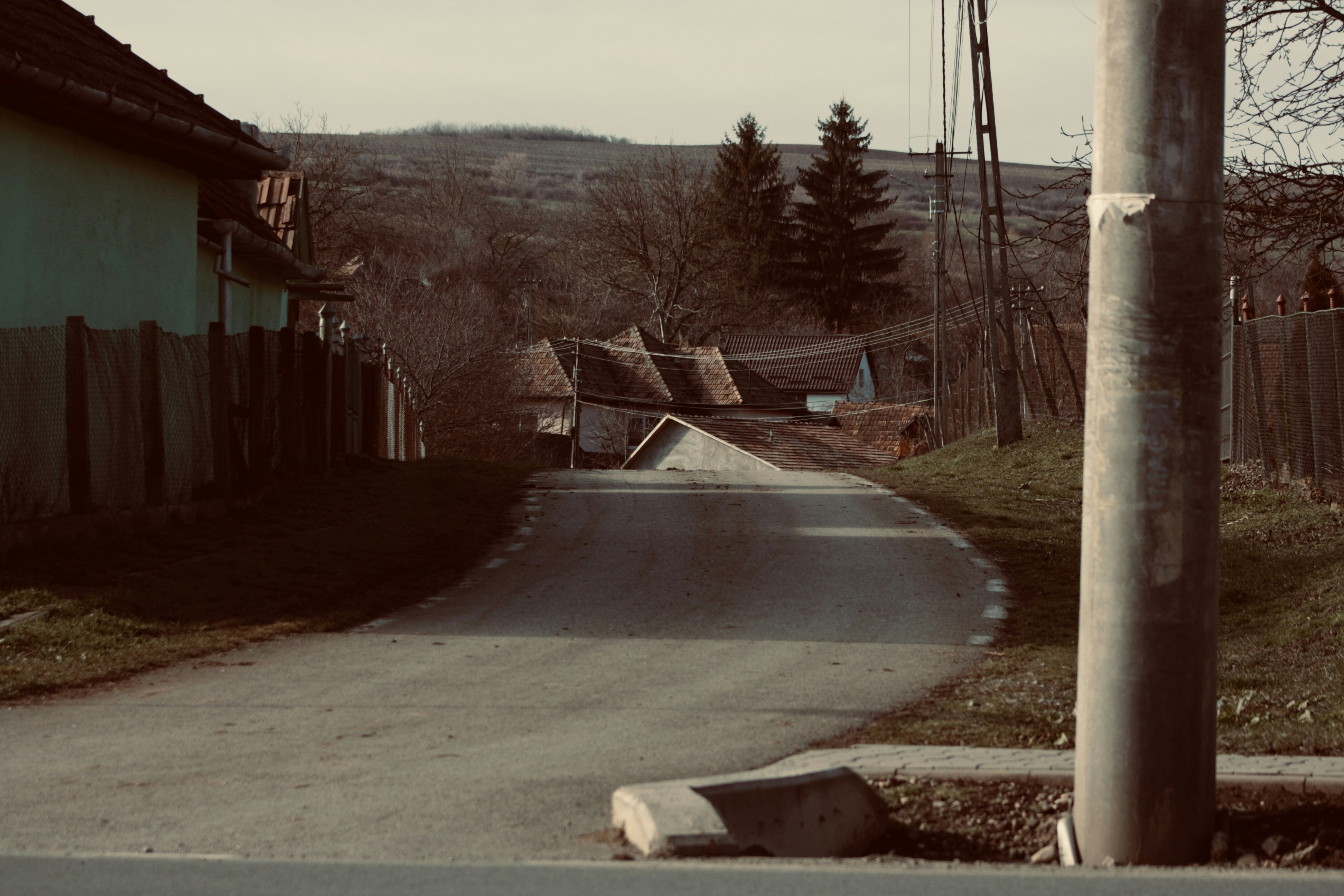 Deserted Rural Road Bends Toward Sunlit Dales
