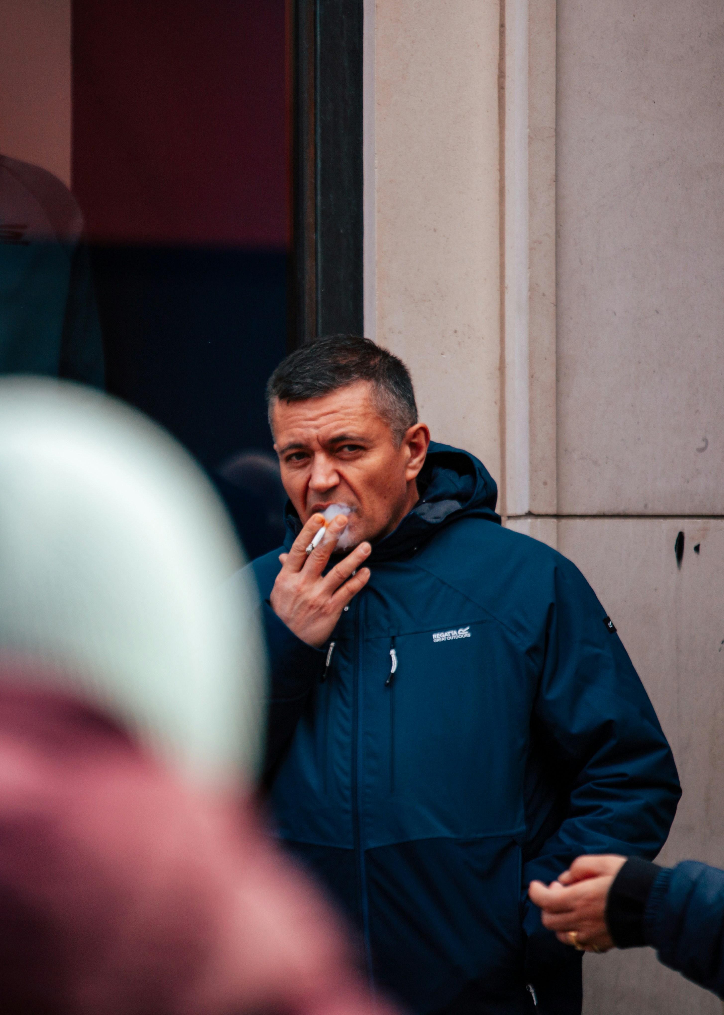 Caught Mid-Outing: A Moment of Quiet in the Cold