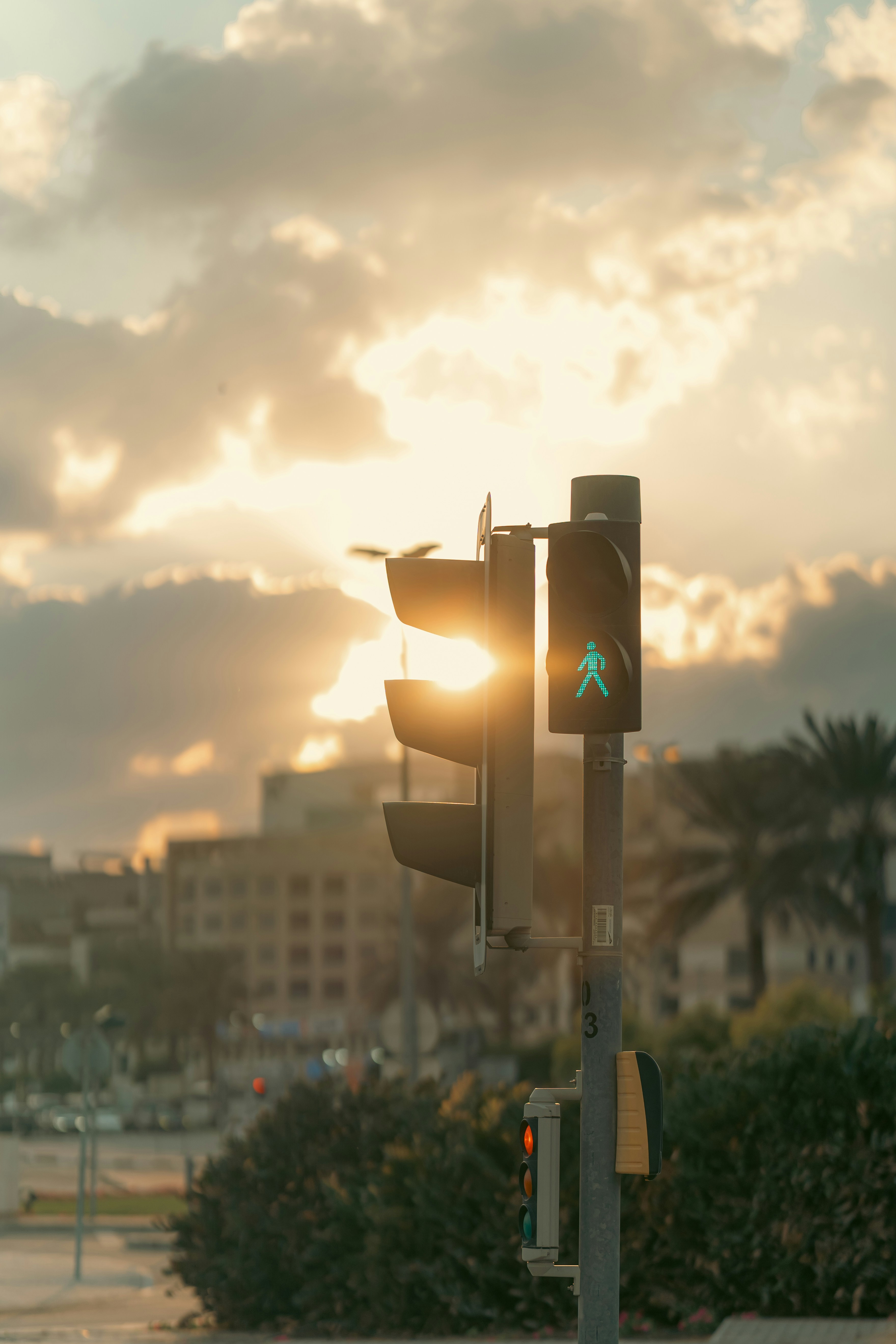 Golden Hour Signal: Pedestrian Crossing at Sunset