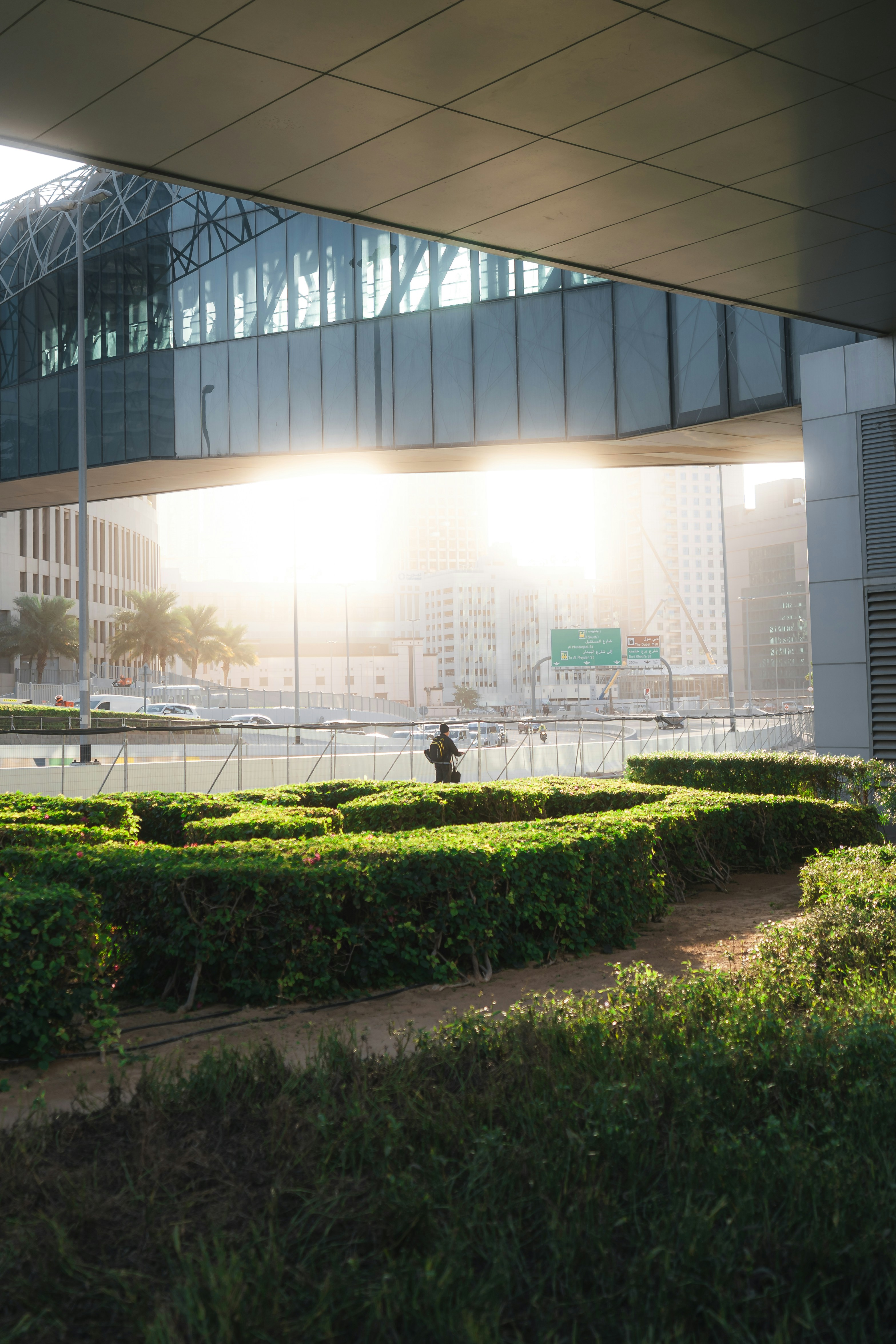 Sunlit Underpass Garden: A Quiet Moment Amid Urban Geometry