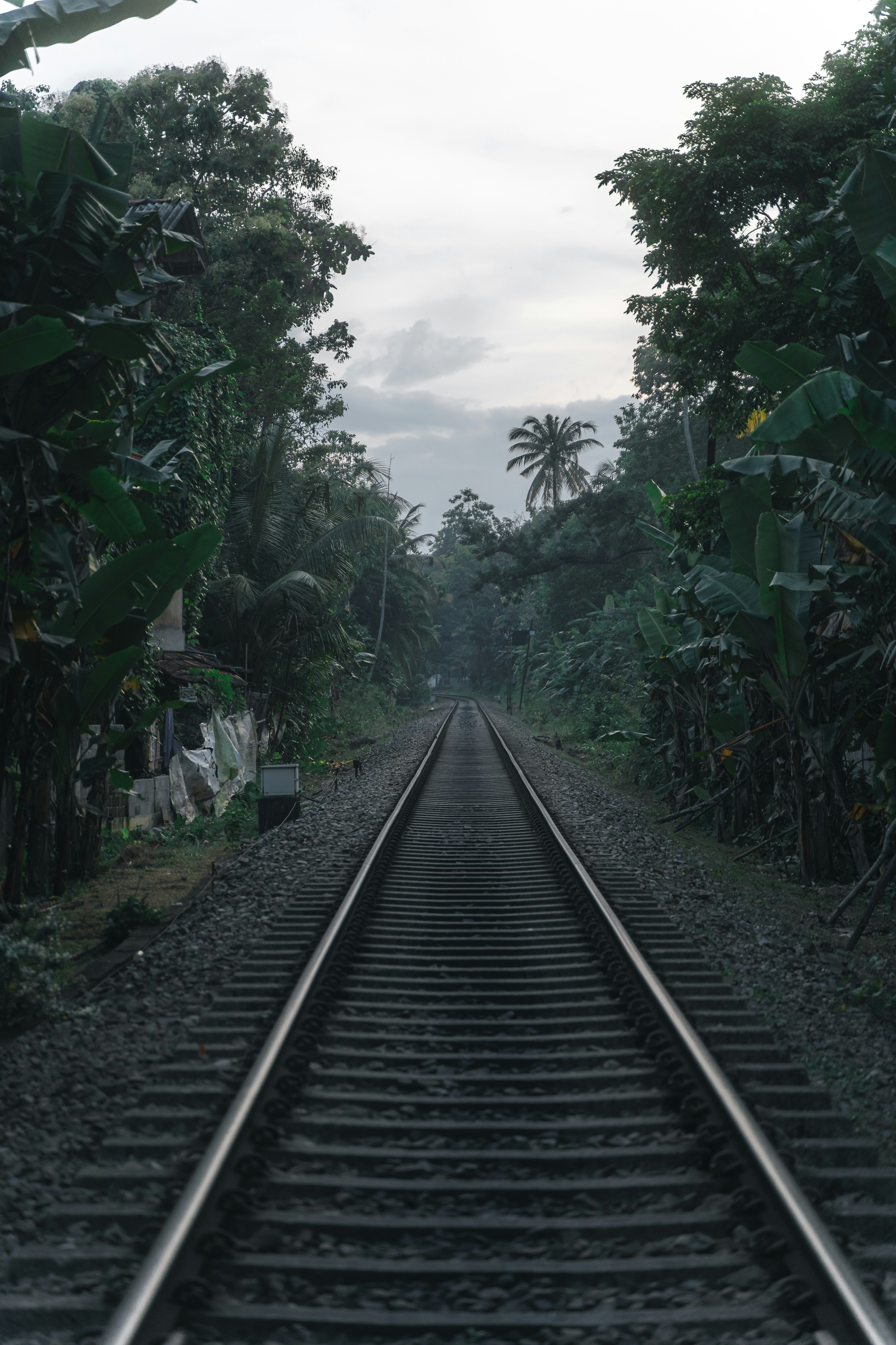 Railway Through a Lush Corridor